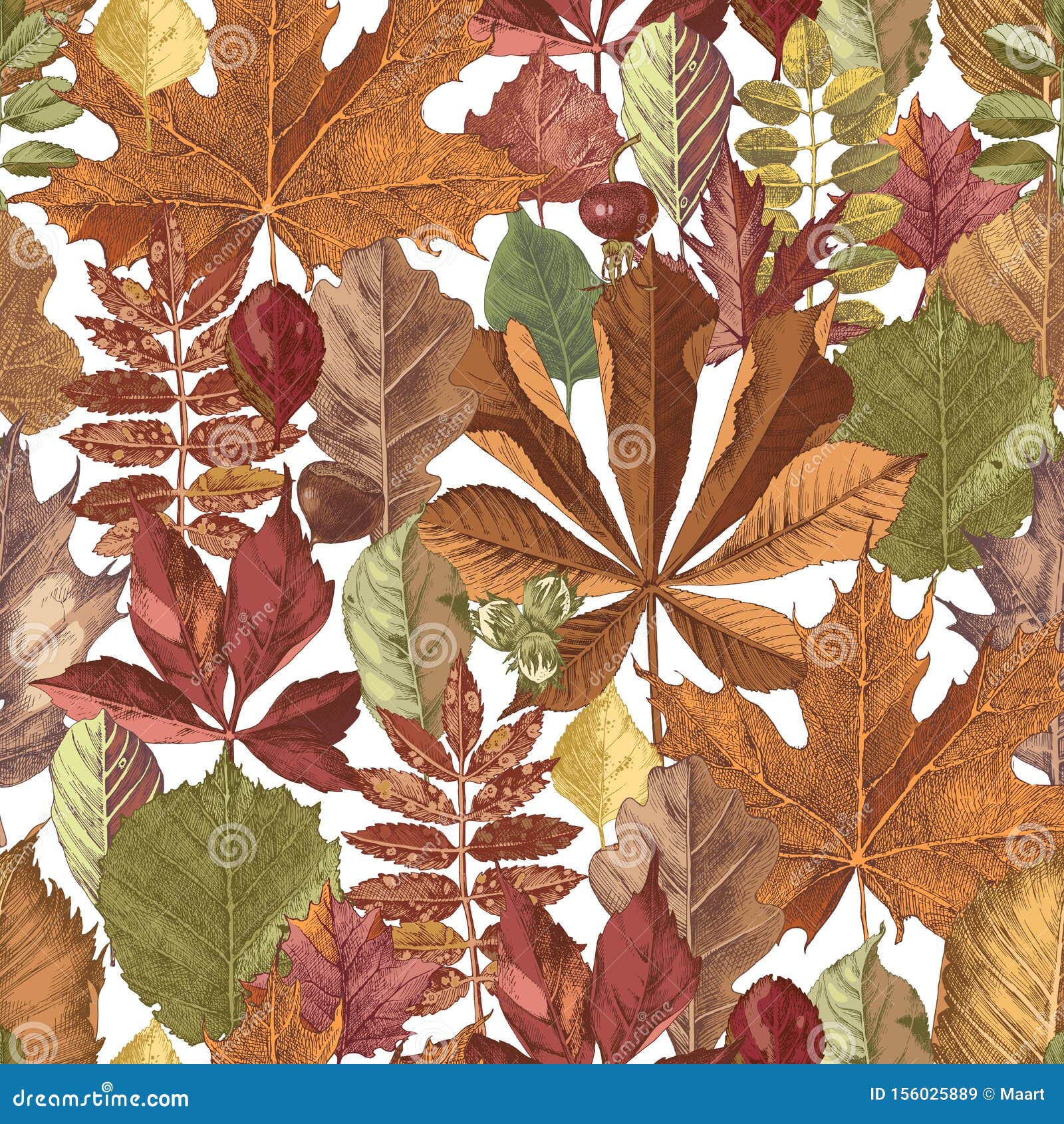 Hand Drawn Seamless Pattern with Autumn Leaves Stock Vector ...