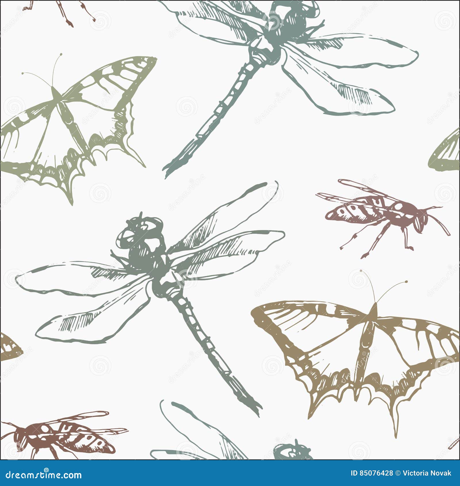 Fly Dragonfly Butterfly Silhouette Emerging From Chrysalis Four Stages ...