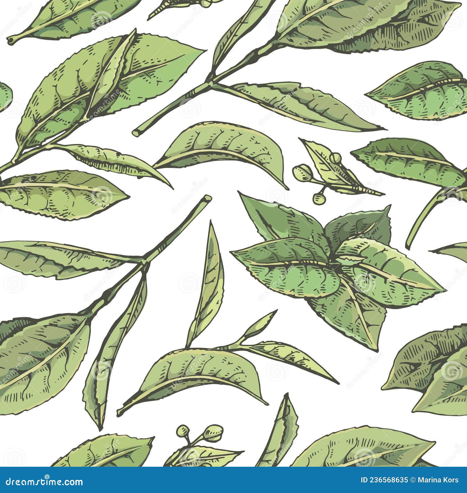 Matcha Tea And Leaves Round Hand-drawn Emblem. Vector Illustration ...