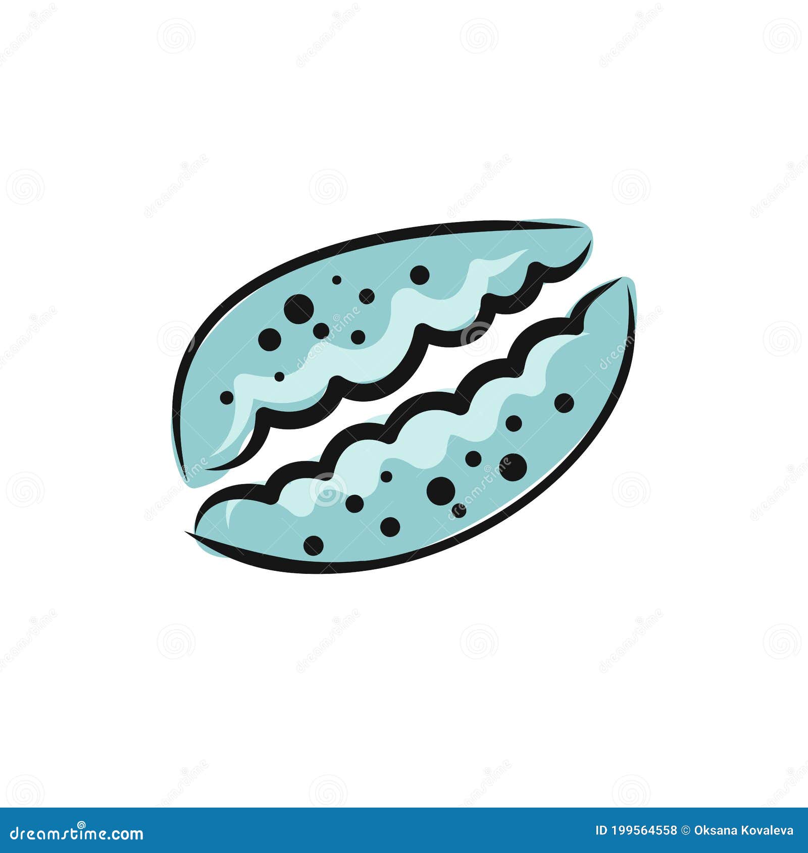 Hand Drawn Seashell. Vector Art Illustration Stock Illustration ...