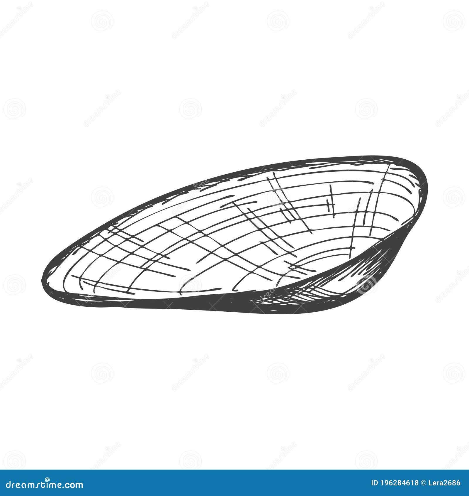 Hand-drawn Seashells. an Empty, Closed, Flat, Oval Solid Shell of a ...