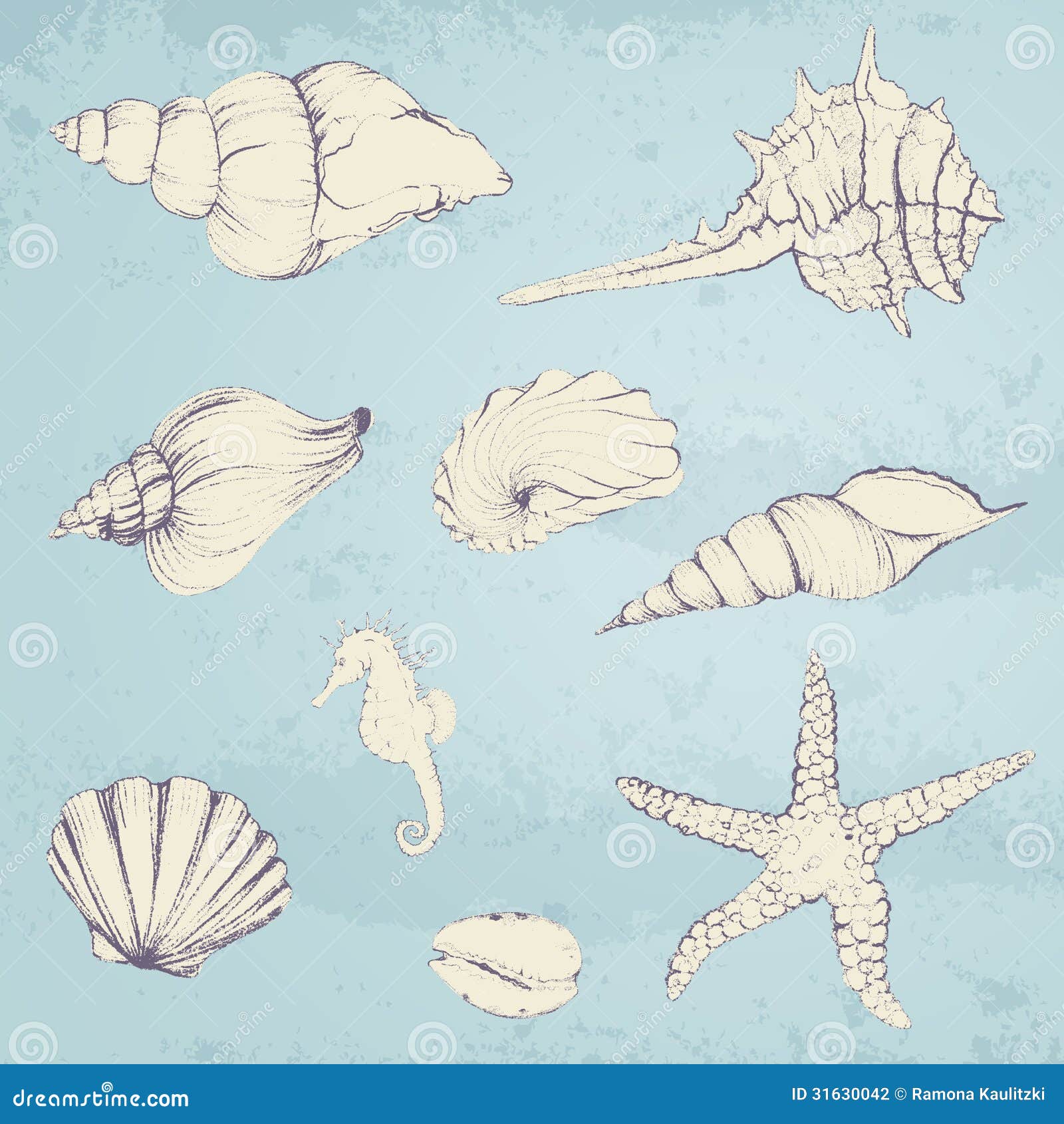 Hand-drawn Seashells stock illustration. Illustration of life - 31630042