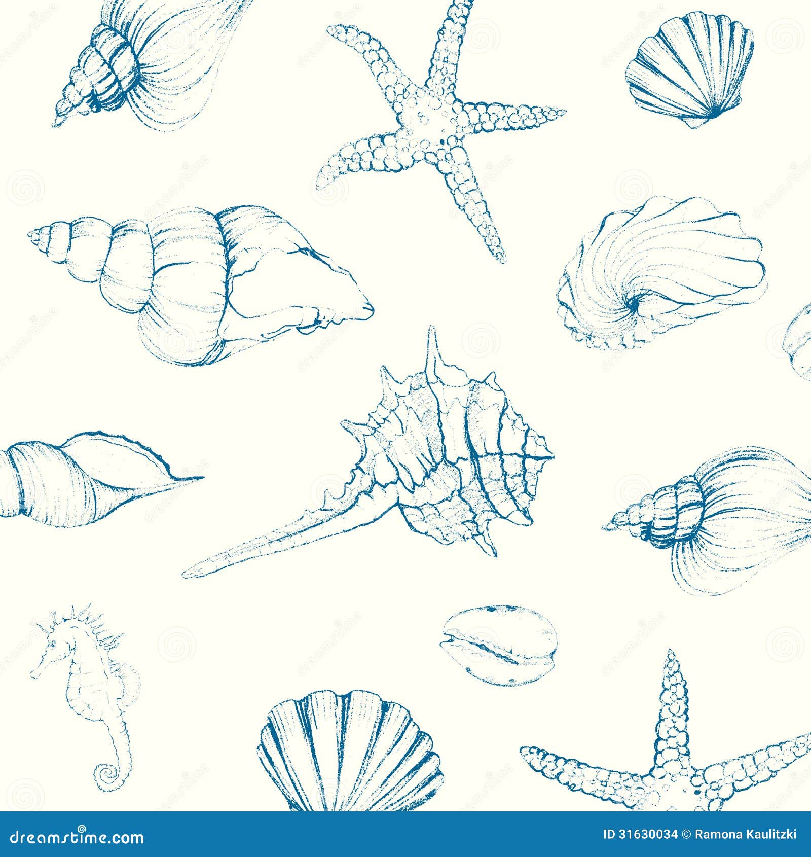 Hand-drawn Seashells stock illustration. Illustration of drawn - 31630034