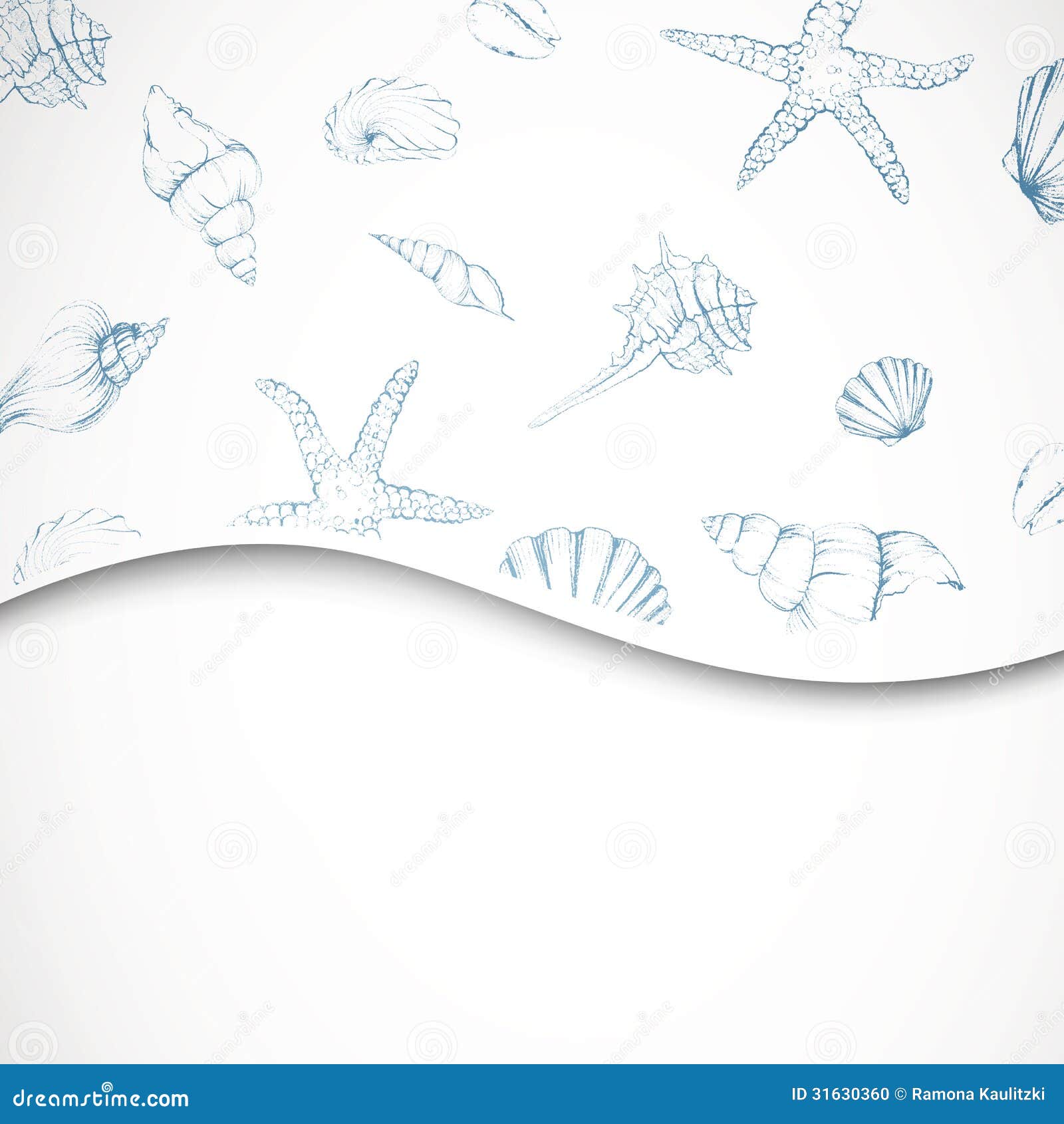 Hand-drawn Seashells stock illustration. Illustration of scallop - 31630360