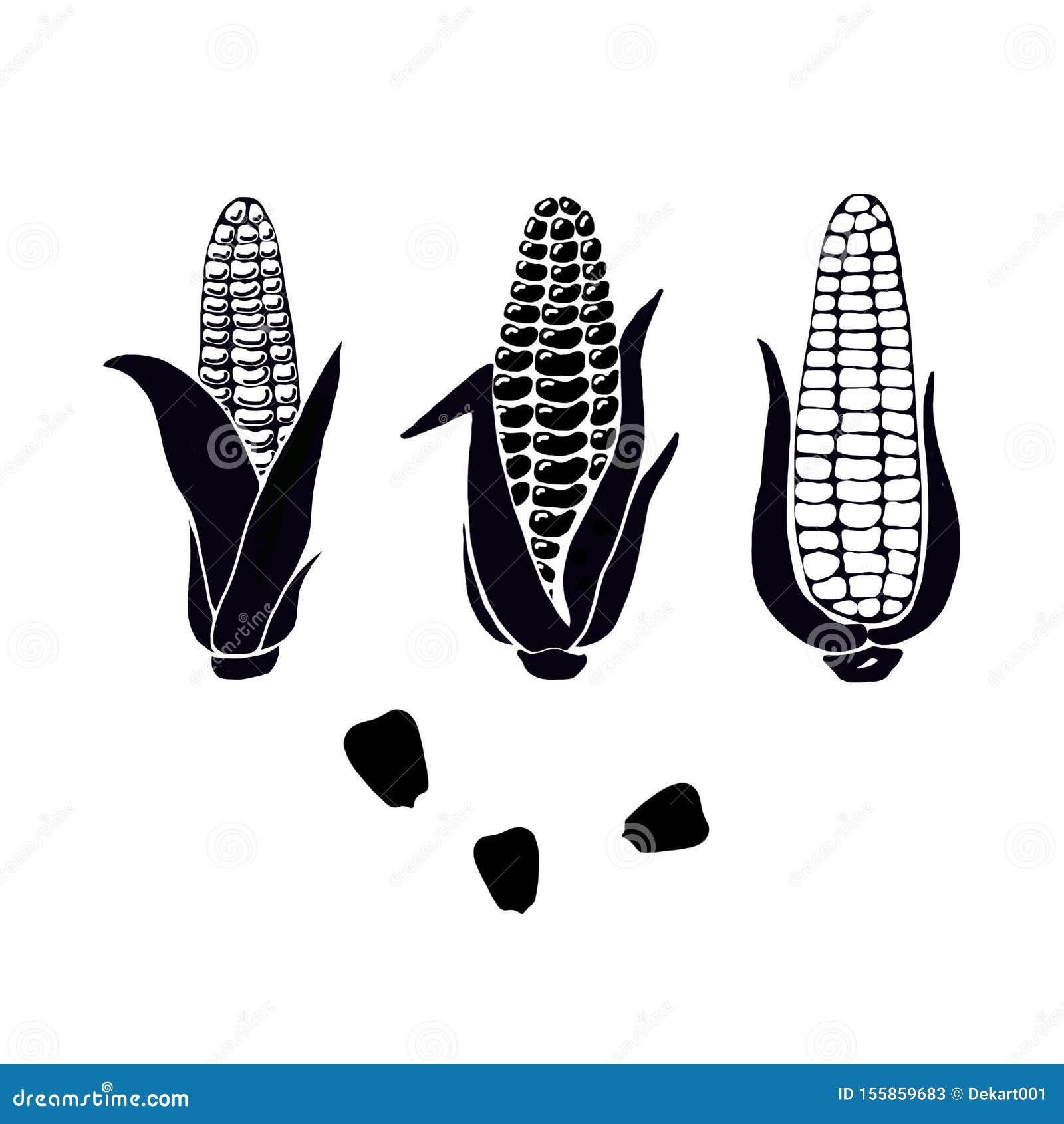 Hand Drawn Set of Black Silhouette Corn Cobs and Grains on White ...