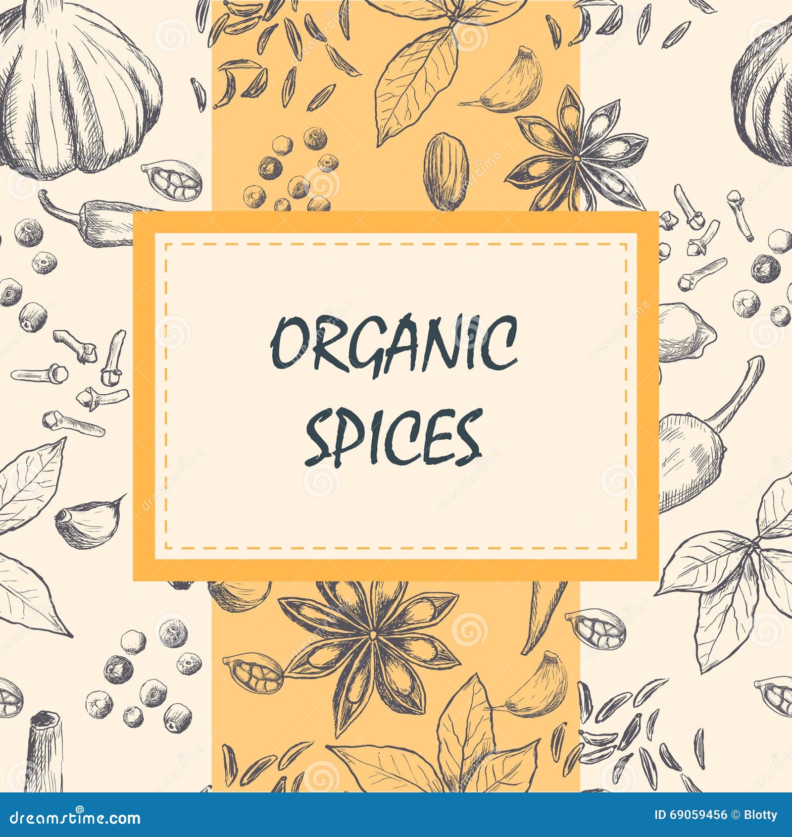 Hand Drawn Set of Organic Spices Stock Vector - Illustration of doodle ...