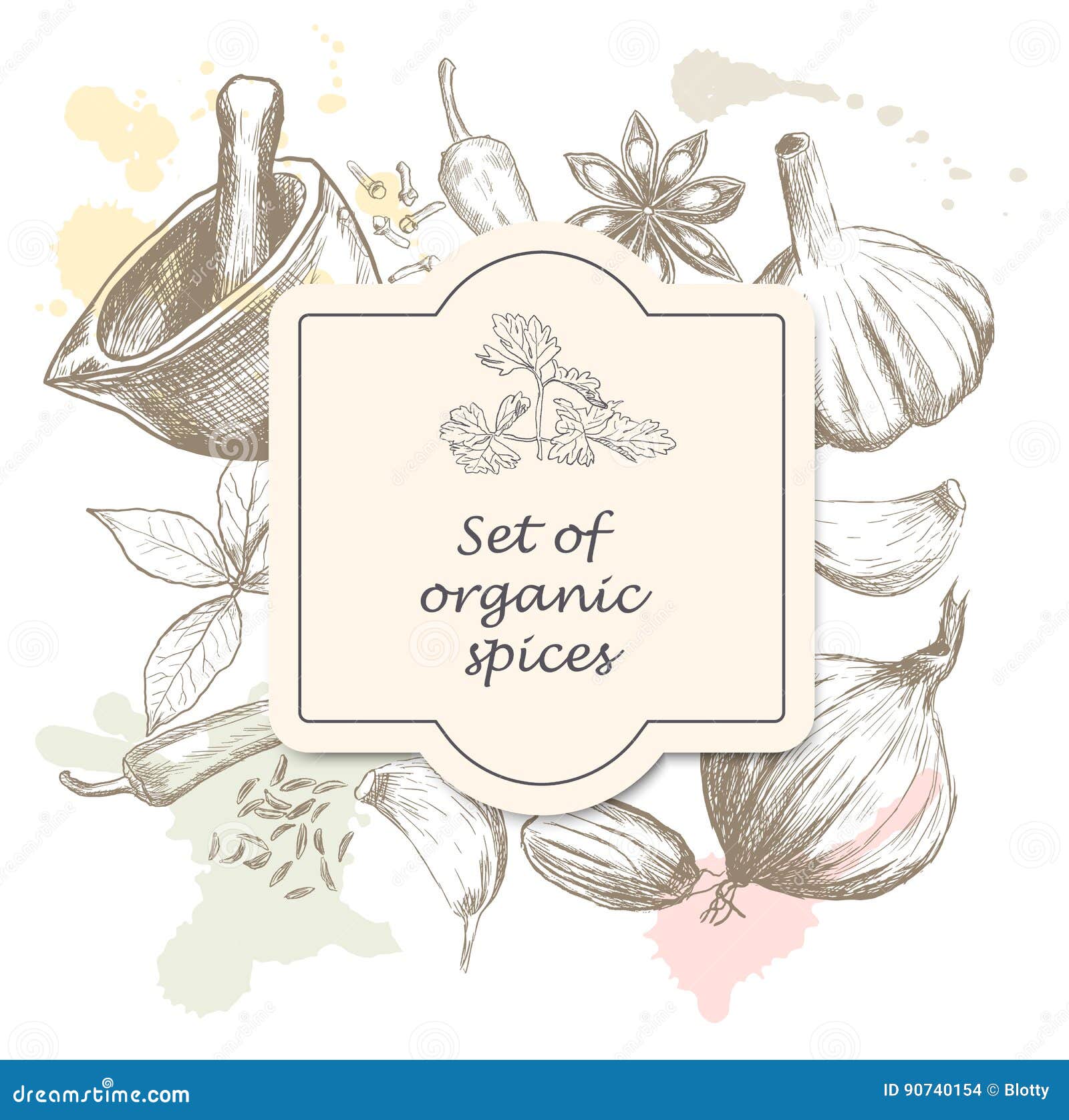 Hand Drawn Set of Organic Spices Stock Vector - Illustration of nutmeg ...