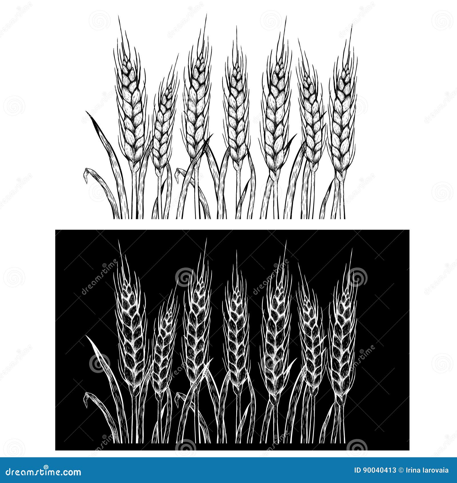 Hand Drawn Set of Rye. Vector Sketch Stock Vector - Illustration of ...