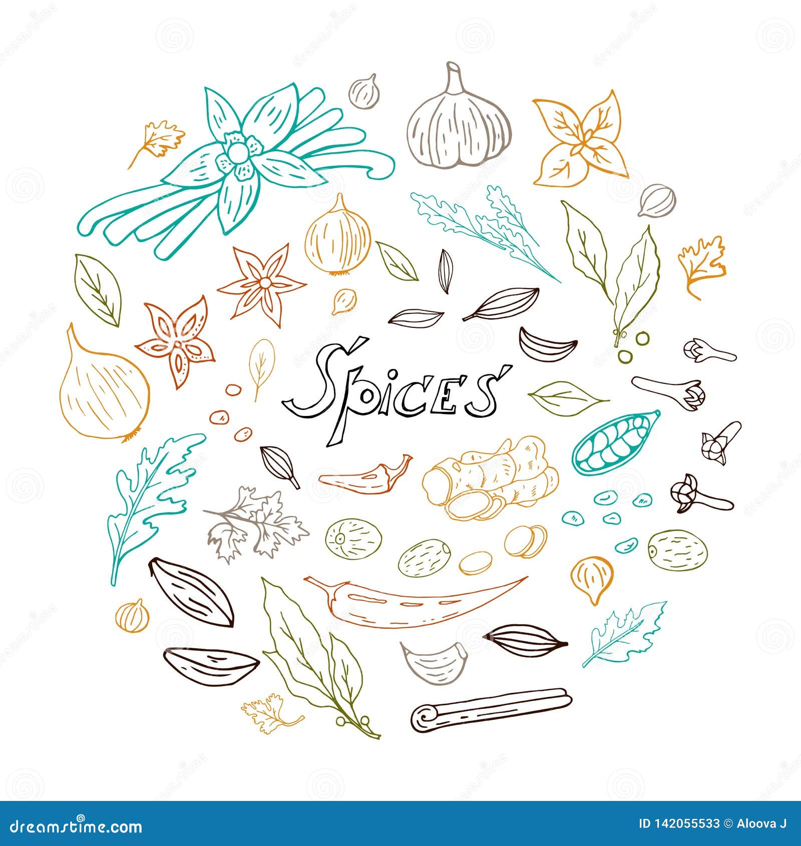 Hand Drawn Set of Spices with with Colorful Lines in Circle Space ...
