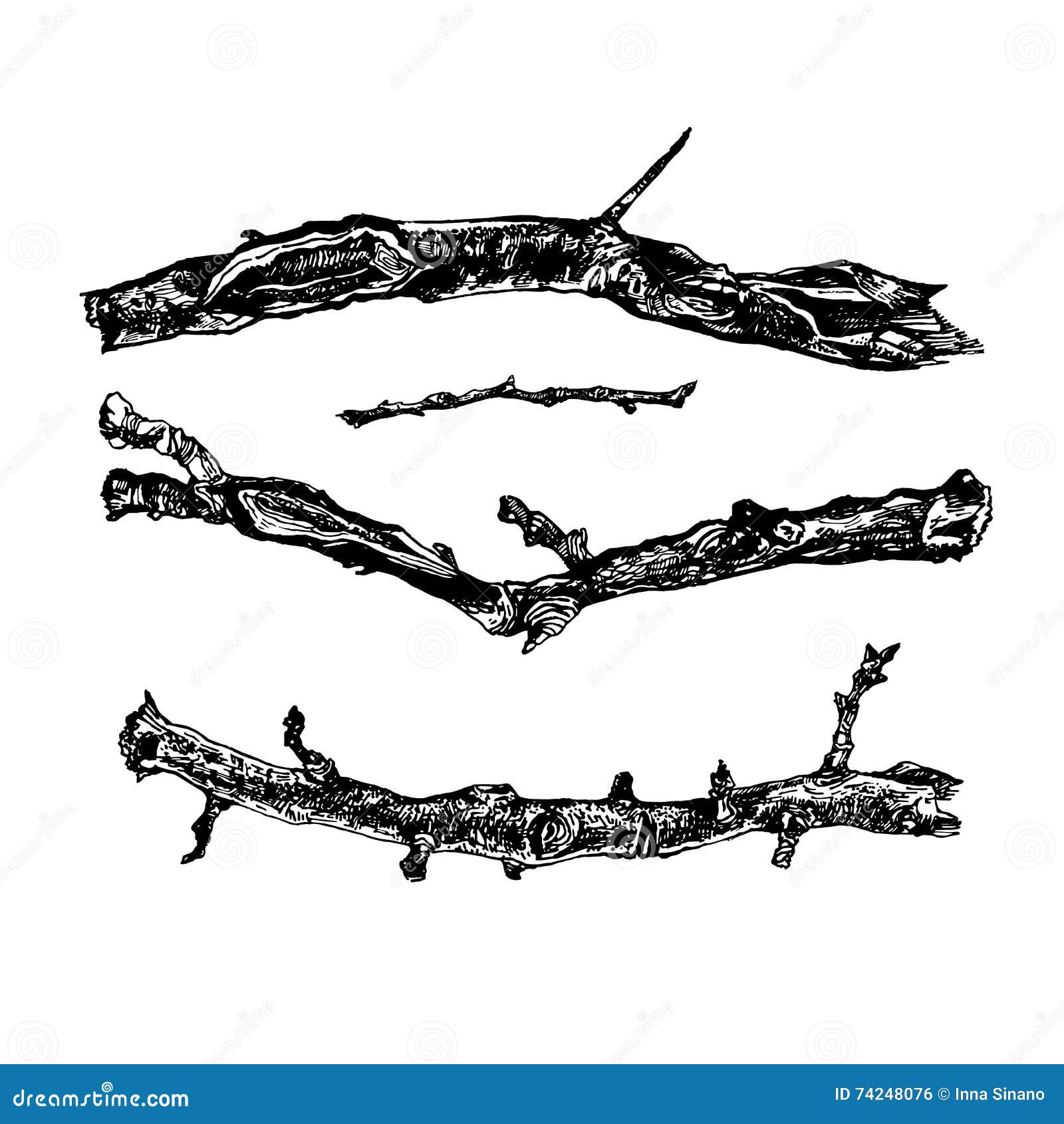 Hand Drawn Set Of Tree Branches Stock Vector Illustration Of Drawing
