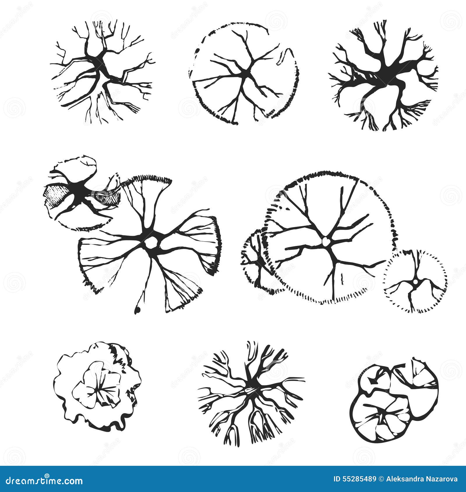 Hand Drawn Set. Trees Top View for Landscape Stock Vector ...