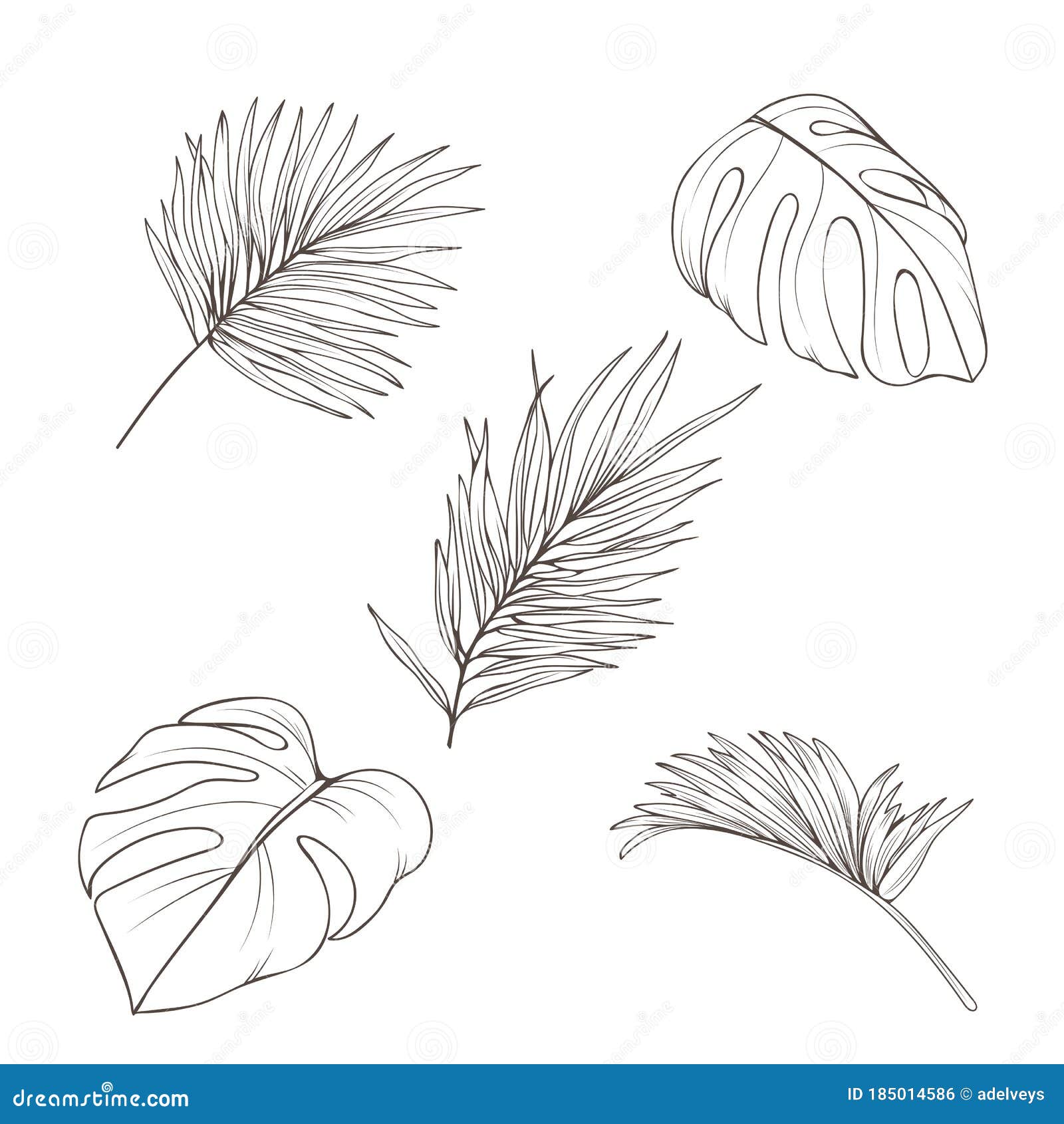 Hand Drawn Set with Tropics Leaves. Vector Botanical Illustration Stock ...