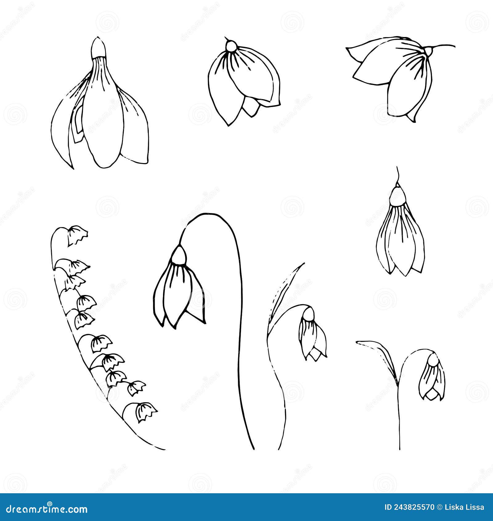 Hand Drawn Set of Wild Flowers. Stock Illustration - Illustration of ...