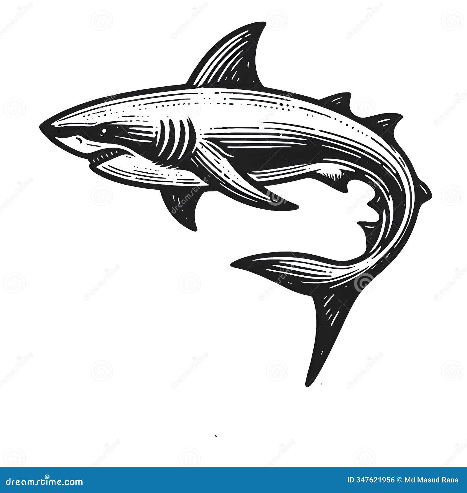 Hand Drawn Shark Outline Illustration on White Background Stock ...