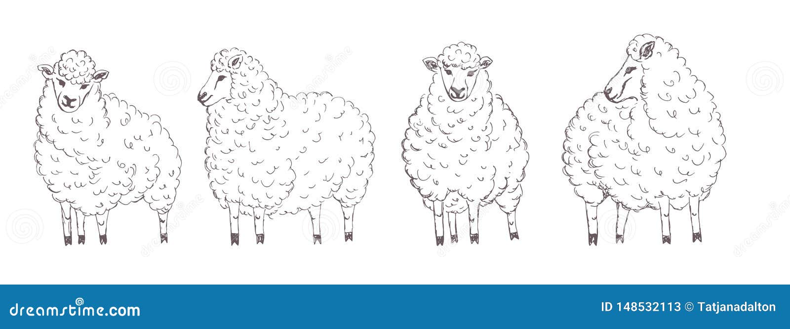 Hand Drawn Sheep Sketch Style. Cartoon Sheep Stock Vector ...