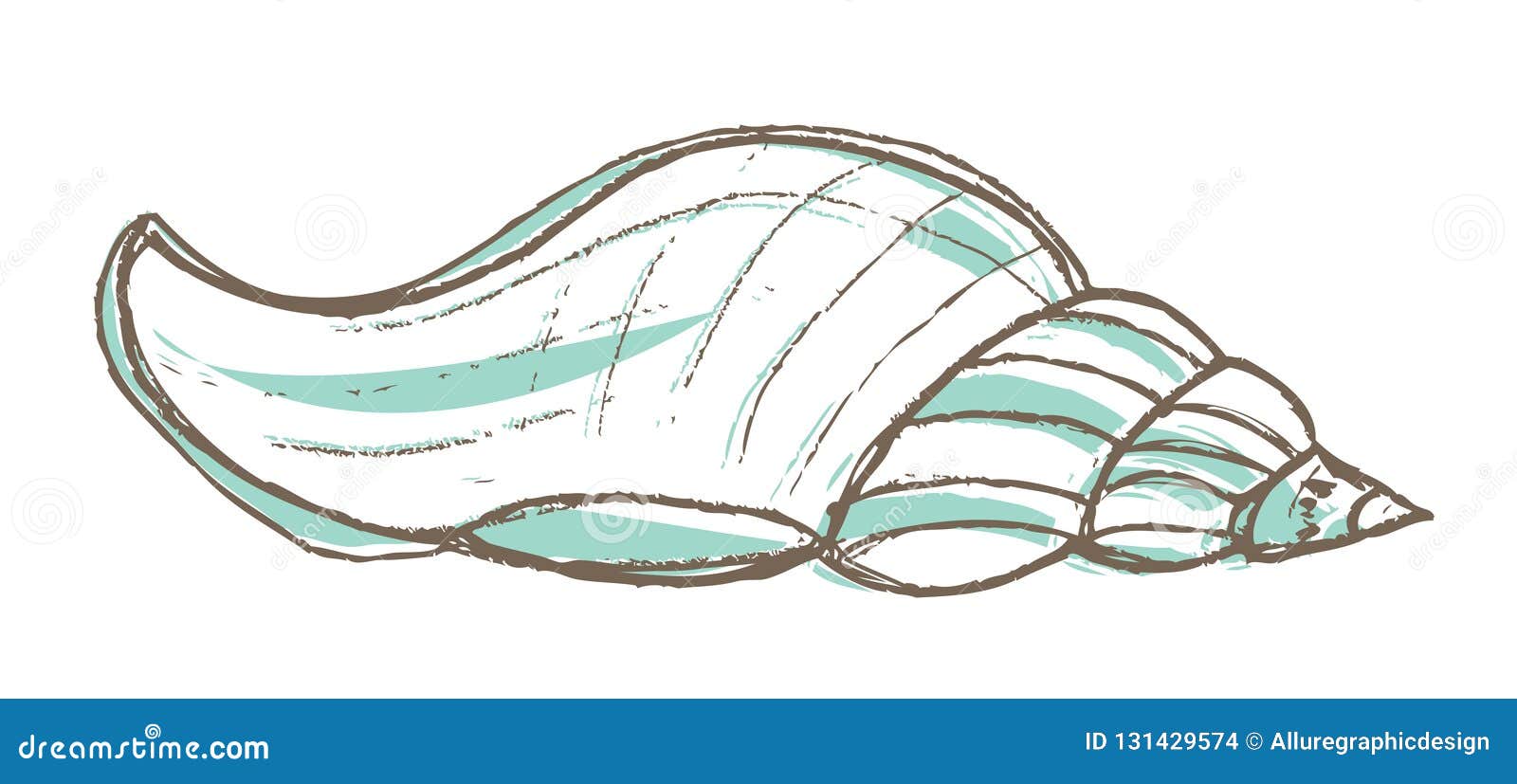 Hand Drawn Shell at the Beach Stock Illustration - Illustration of ...