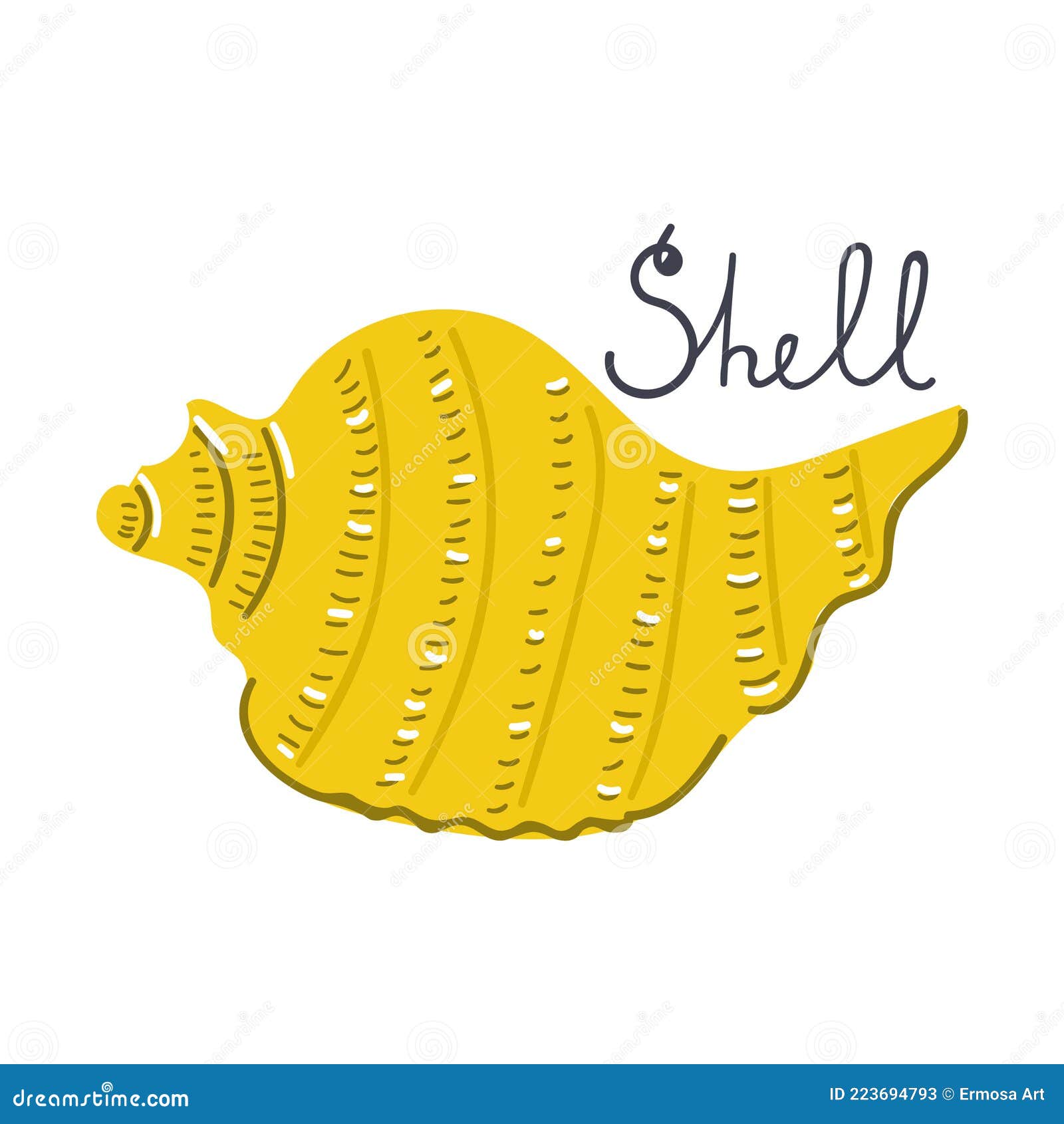 Hand drawn shell. stock vector. Illustration of drawn - 223694793
