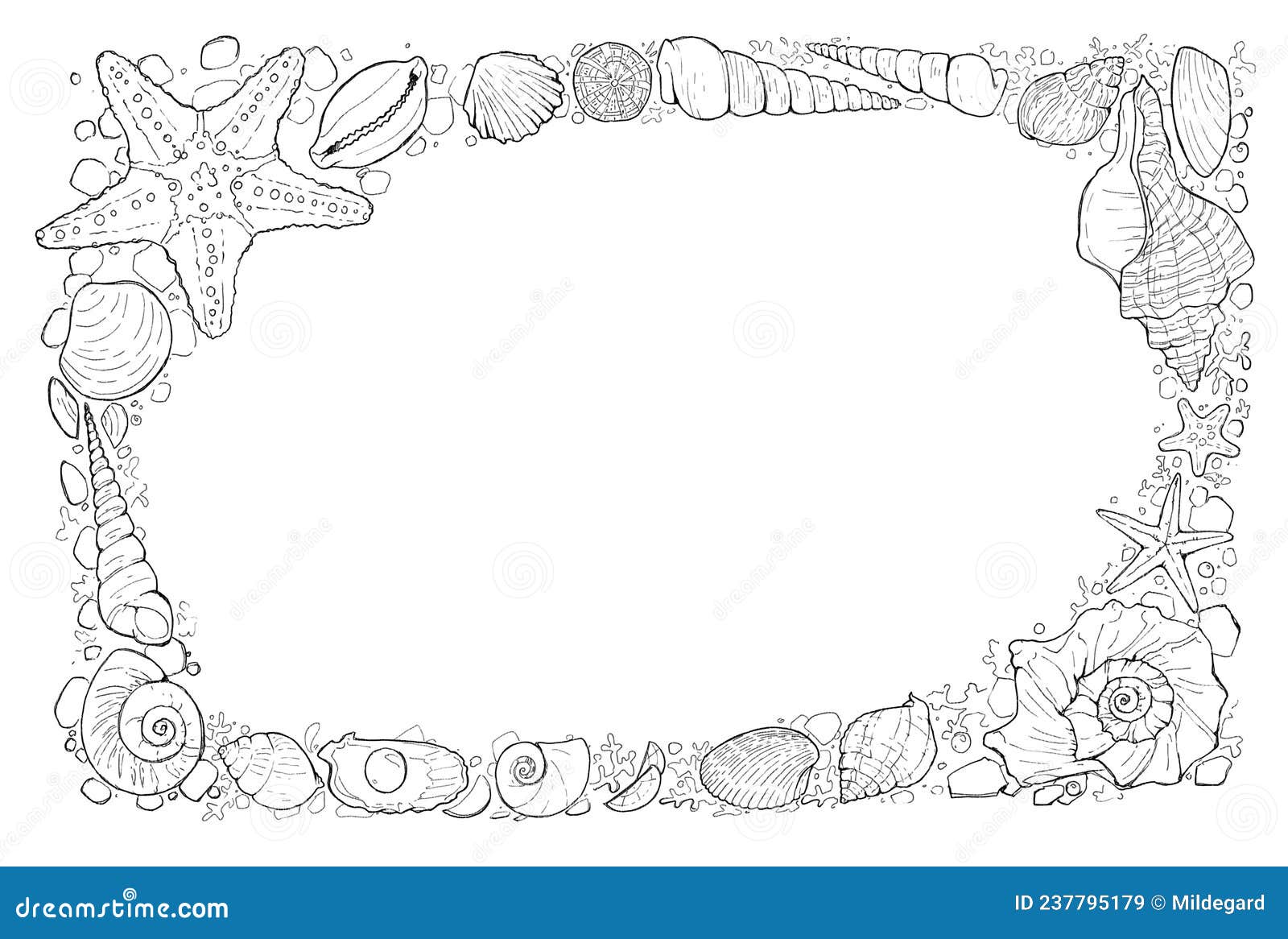 Hand Drawn Shell Frame - Contour Art Stock Illustration - Illustration ...