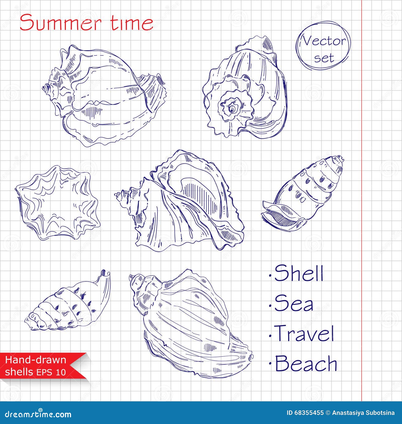 Hand-drawn shells. Vector stock vector. Illustration of field - 68355455