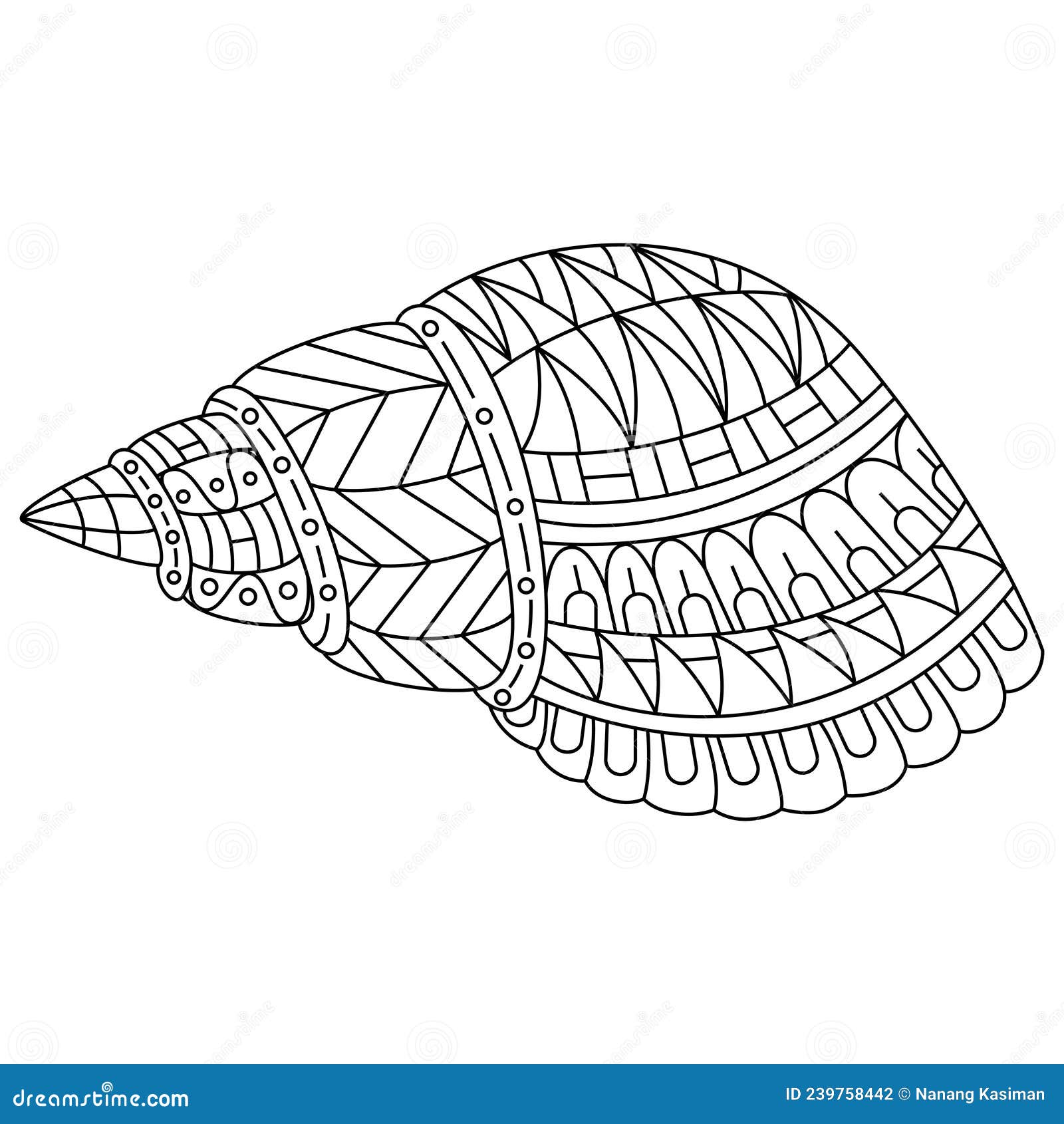 Hand Drawn of Shells in Zentangle Style Stock Vector - Illustration of ...