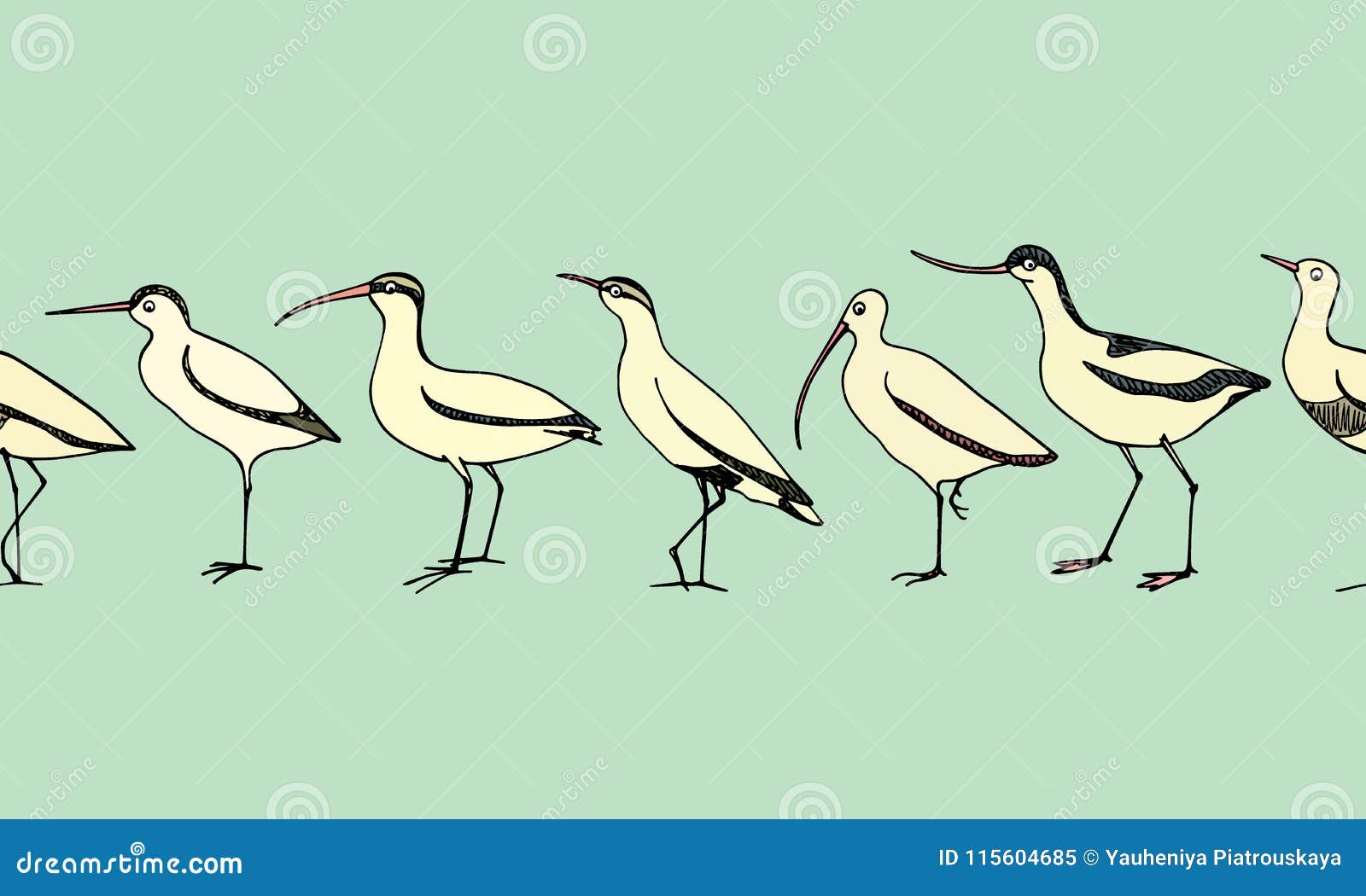 Hand Drawn Shorebird Pattern Stock Vector - Illustration of ornament ...
