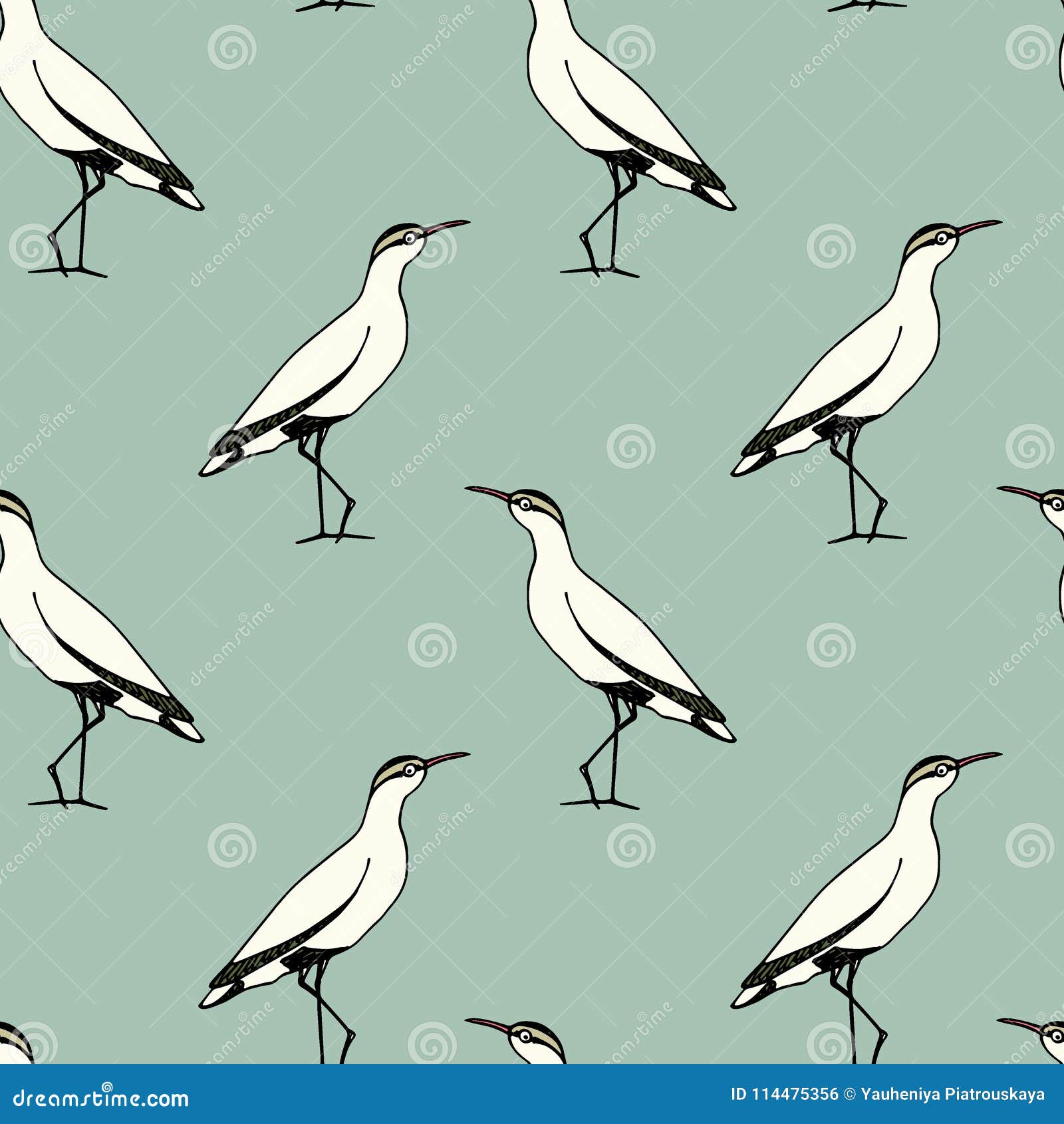 Hand Drawn Shorebird Pattern Vector Illustration | CartoonDealer.com ...