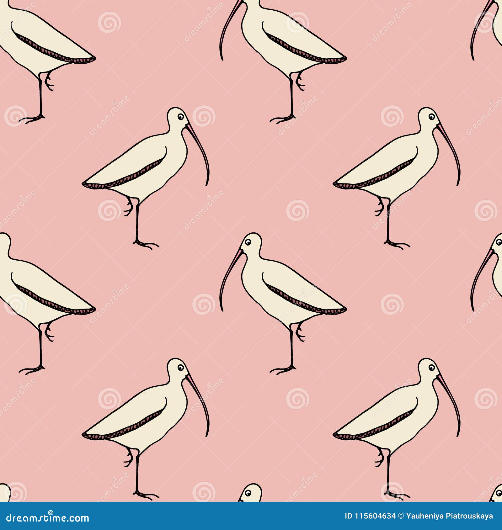 Hand Drawn Shorebird Pattern Stock Vector - Illustration of poster ...