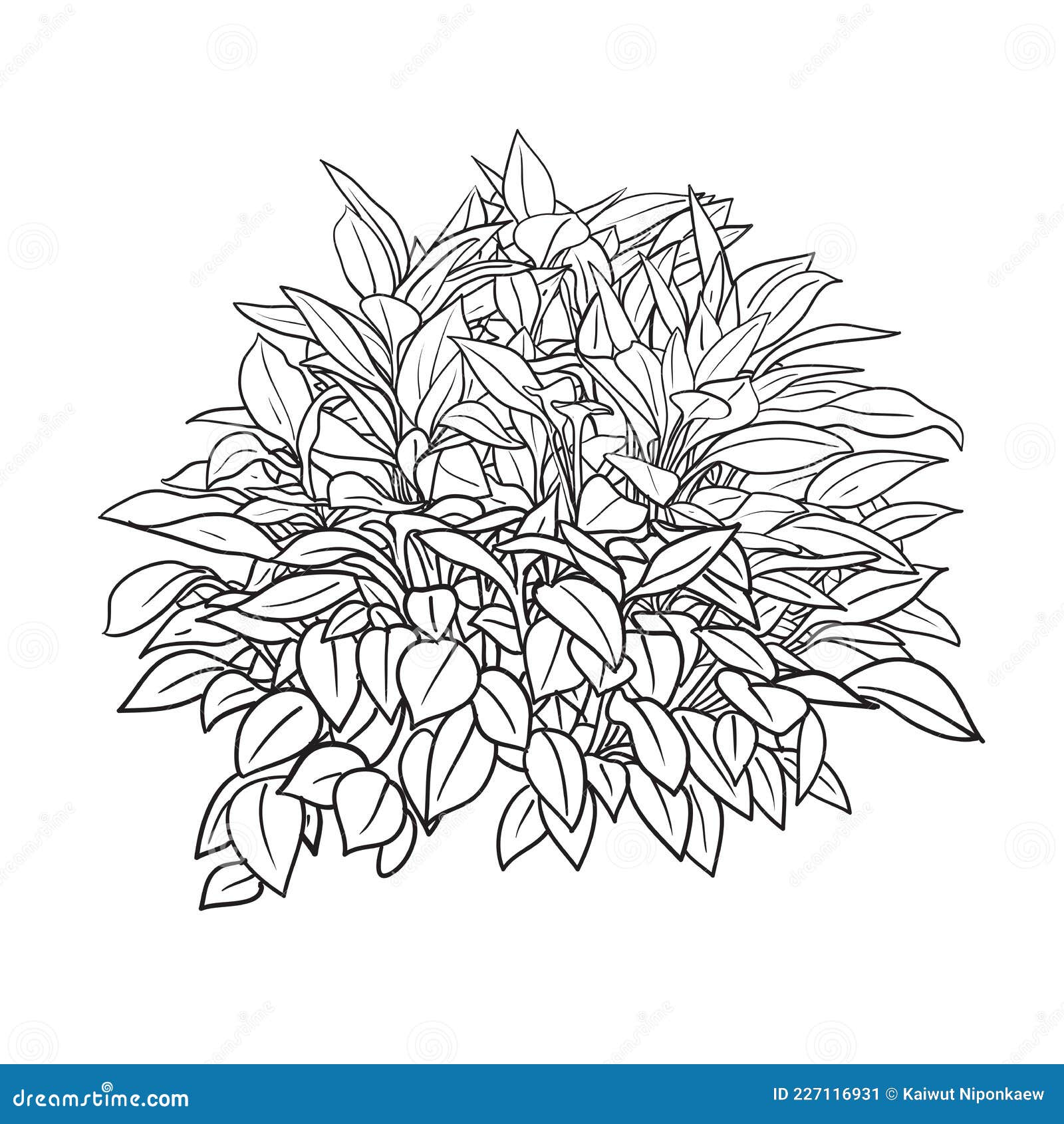 Hand drawn shrub stock illustration. Illustration of black - 227116931
