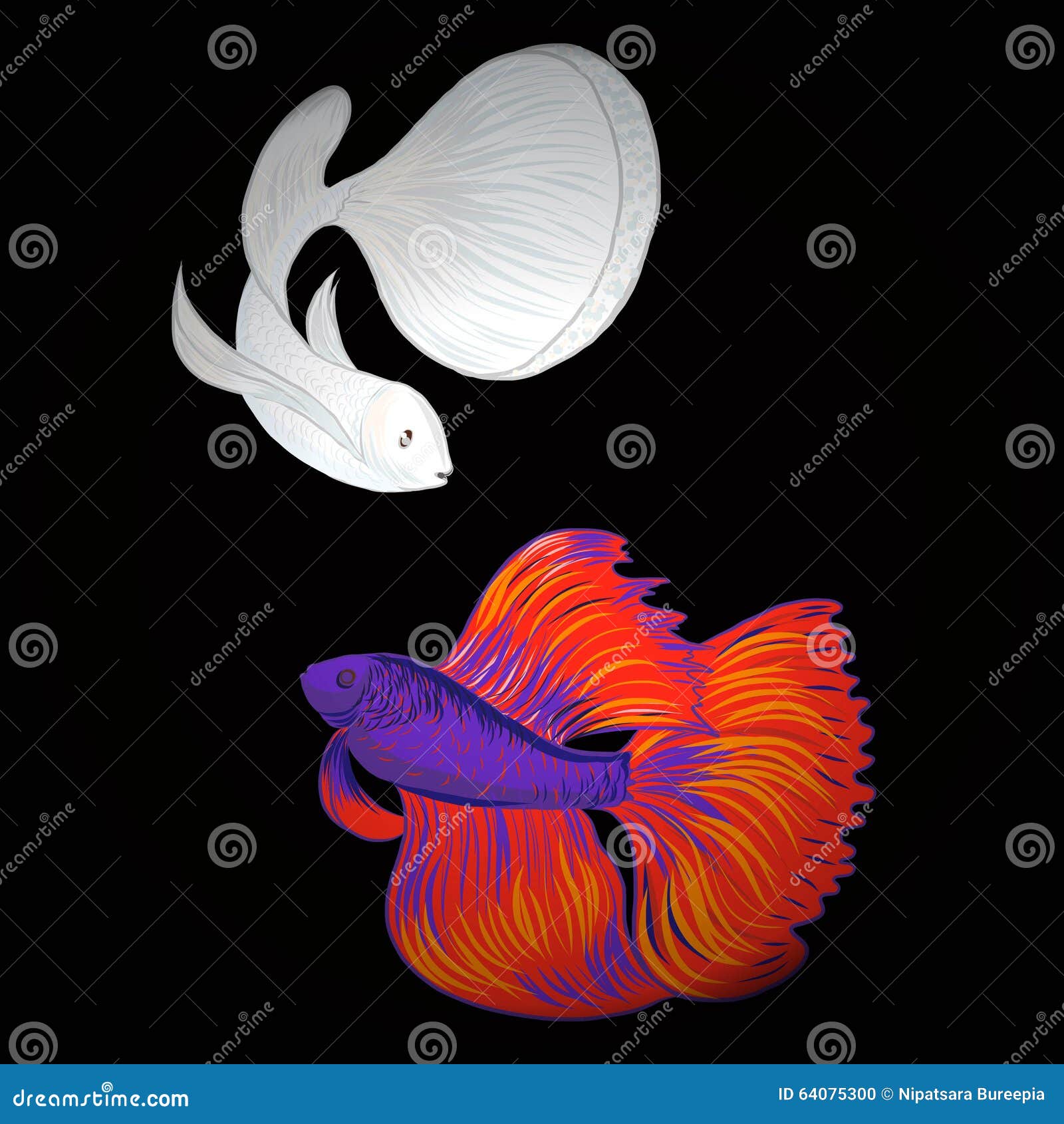 Fighting Fish Hand Drawn Coloring Page Cartoon Vector | CartoonDealer ...