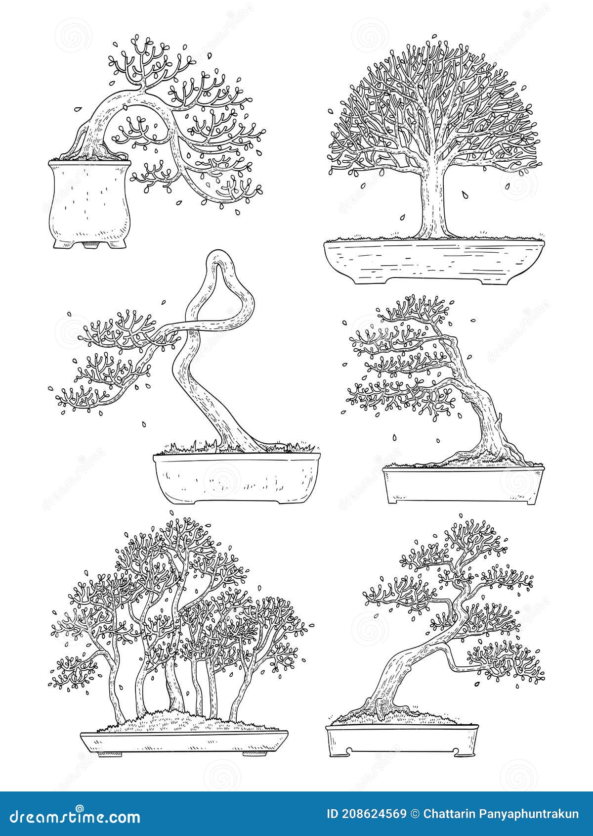Hand Drawn Side View Bonsai Tree Vector Set. Stock Vector ...