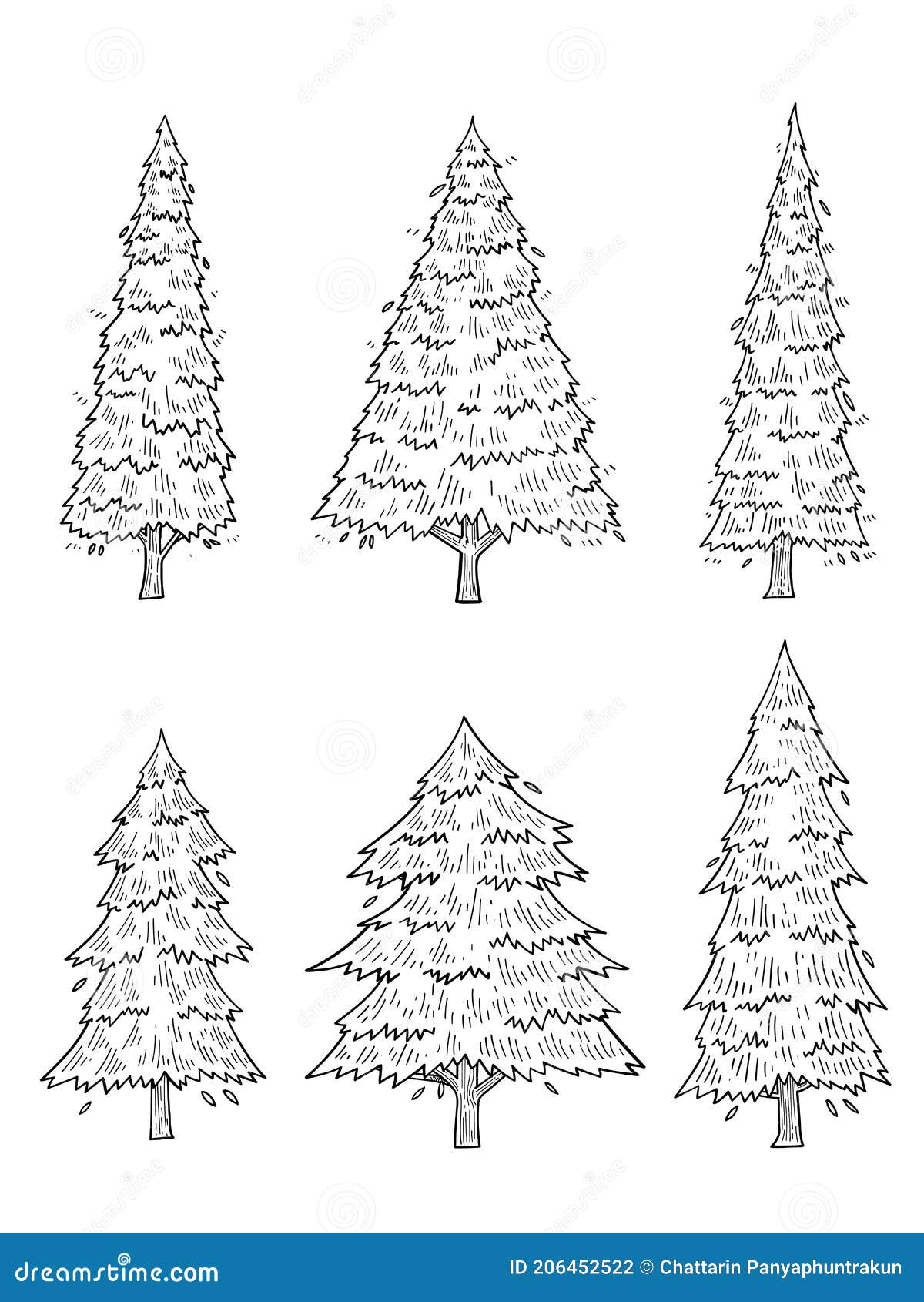 Hand Drawn Side View Pine Tree Vector Set Stock Vector - Illustration ...