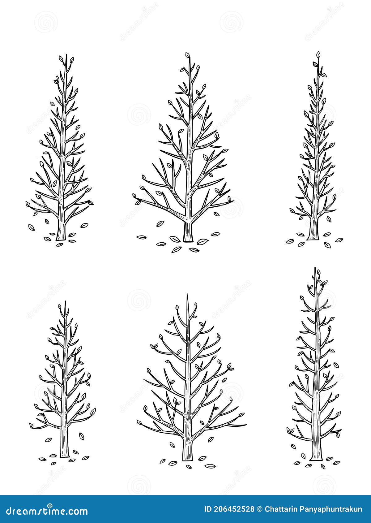 Hand Drawn Side View Pine Tree Vector Set Stock Vector - Illustration ...