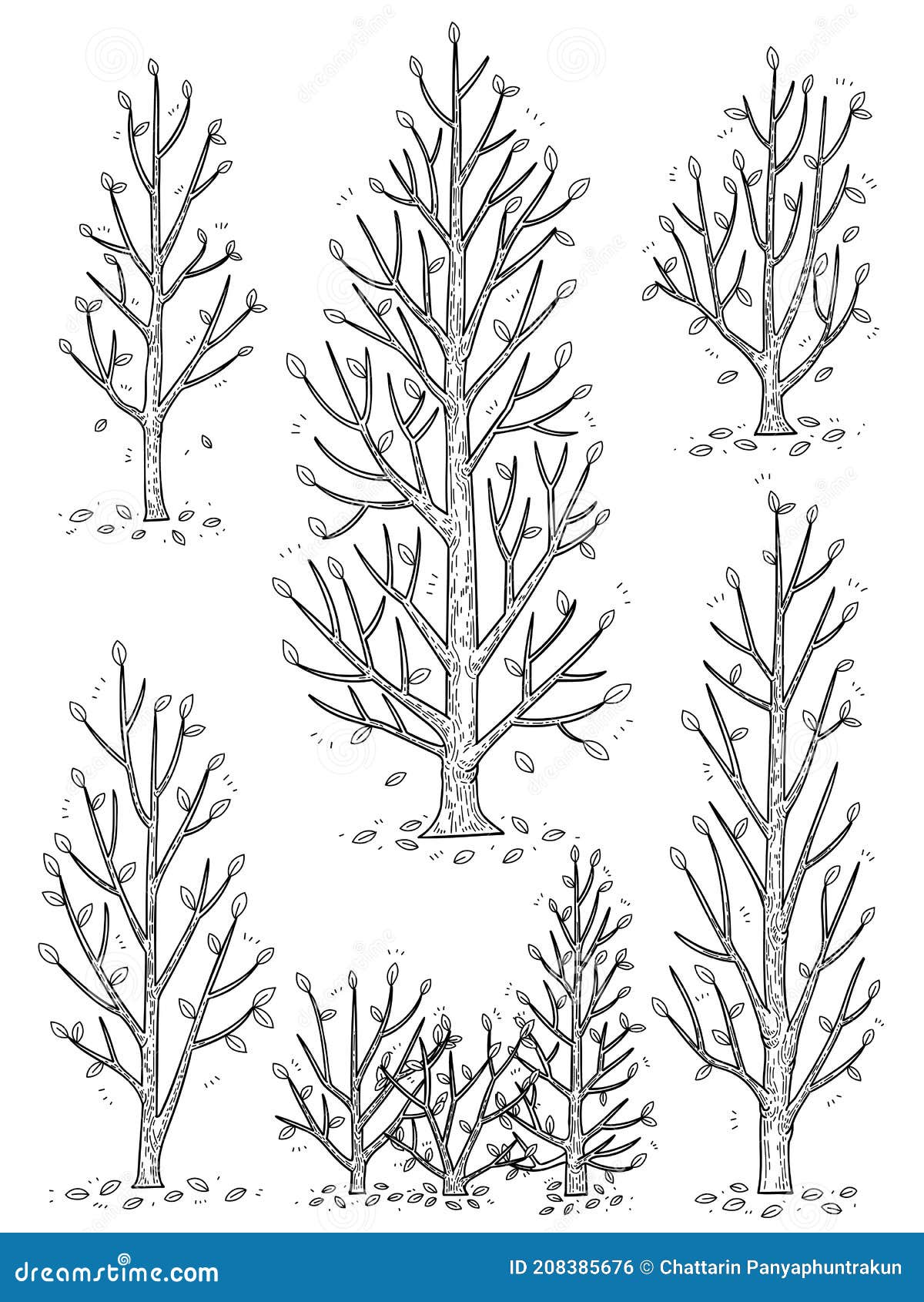 Hand Drawn Side View Tree Vector Set. Stock Vector - Illustration of ...