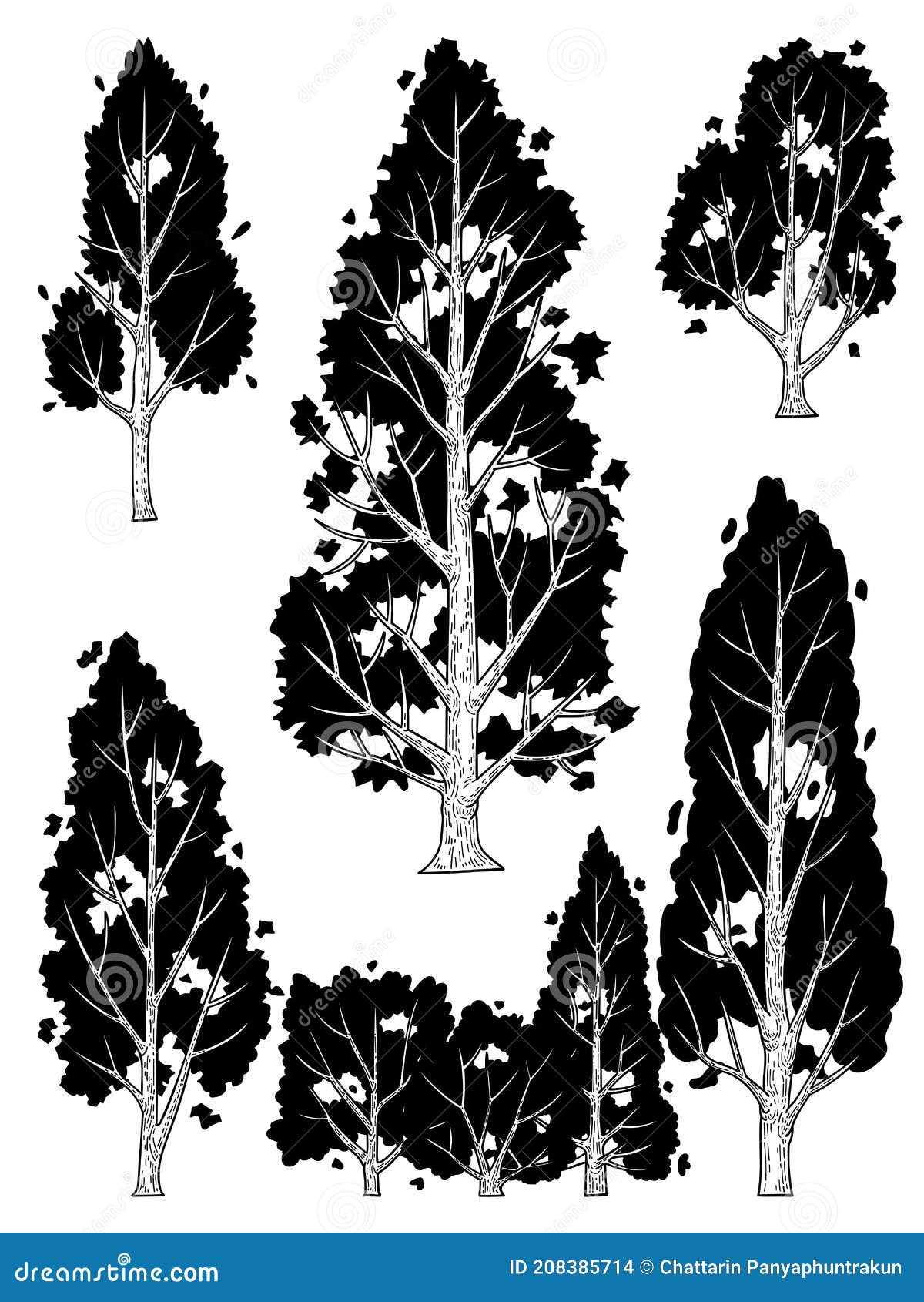 Hand Drawn Side View Tree Vector Set. Stock Vector - Illustration of ...