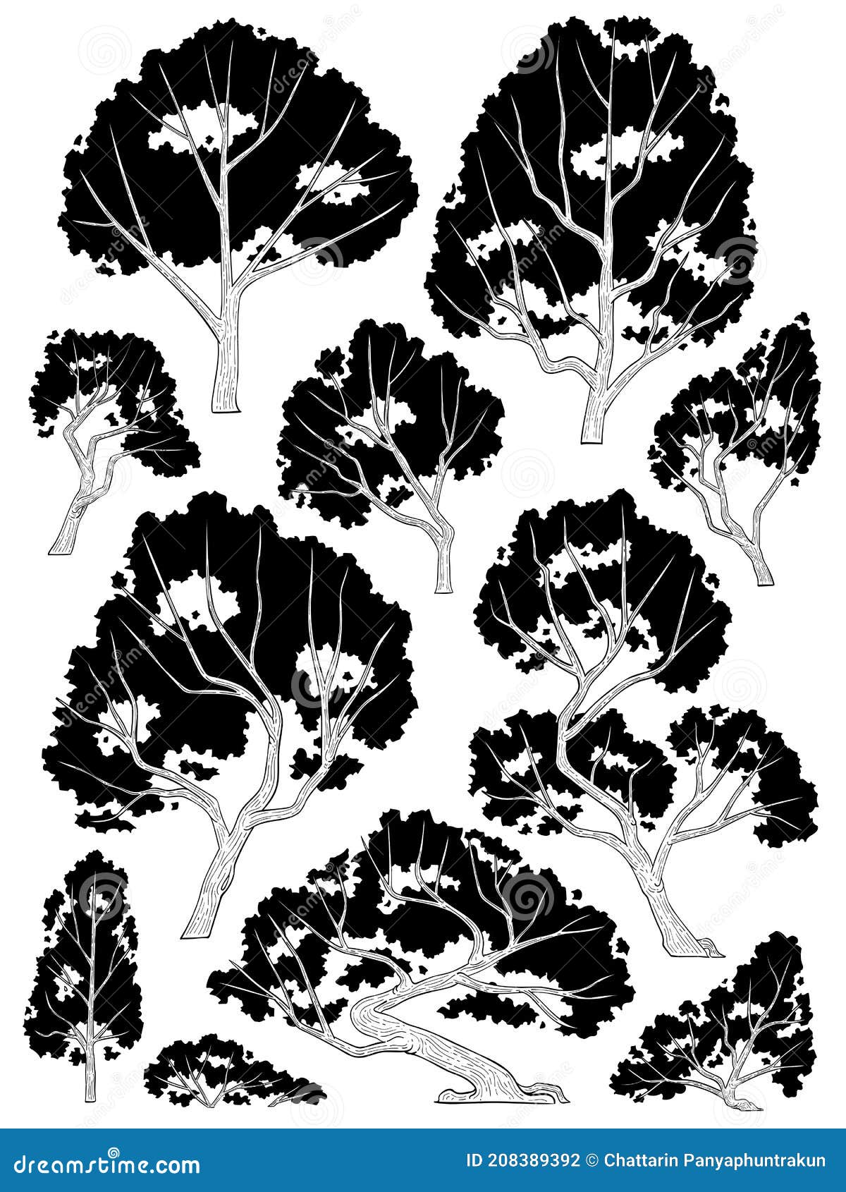 Hand Drawn Side View Tree Vector Set Stock Vector - Illustration of ...