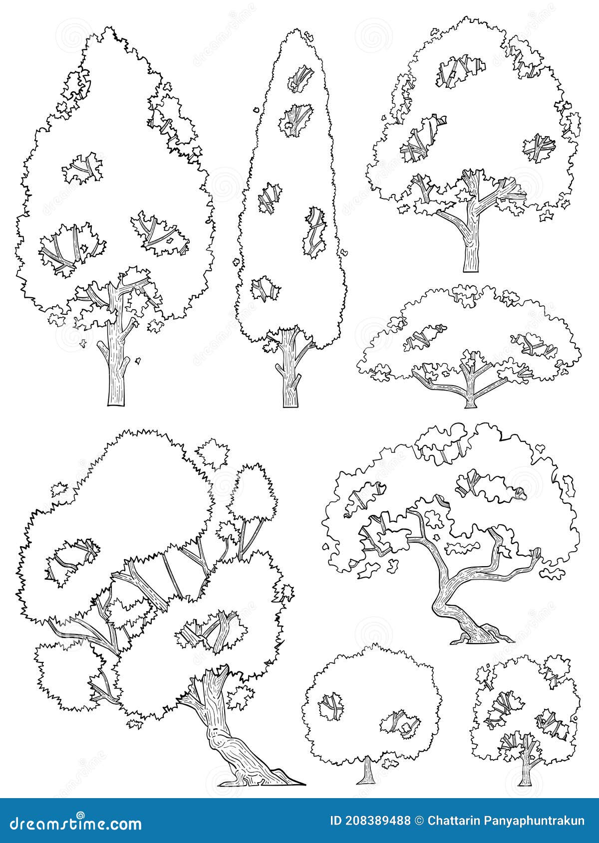 Hand Drawn Side View Tree Vector Set Stock Vector - Illustration of ...