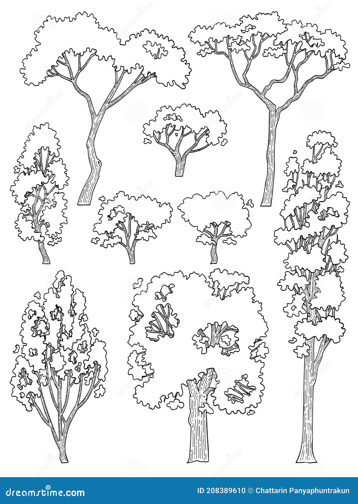 Hand Drawn Side View Tree Vector Set Stock Vector - Illustration of ...