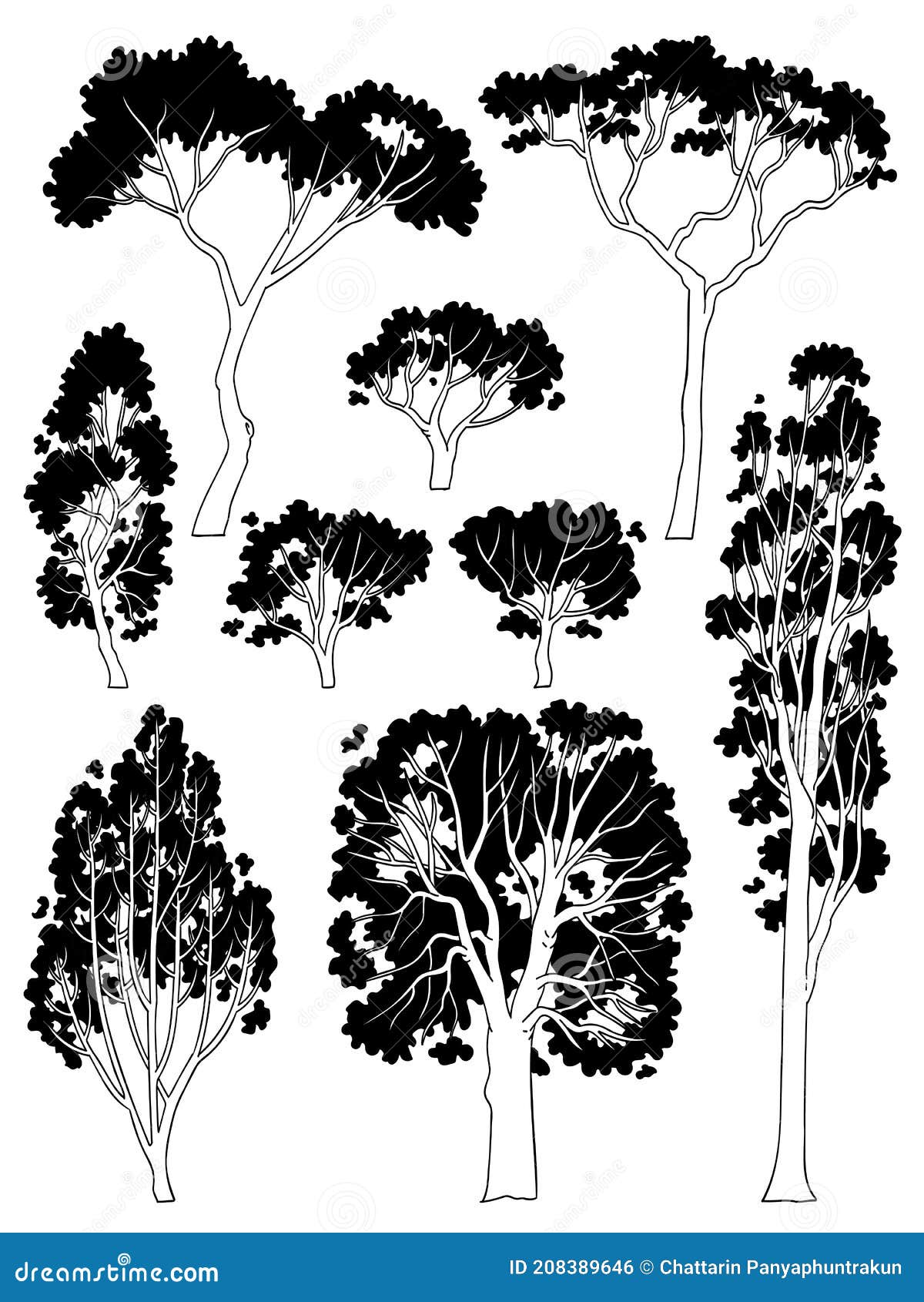 Hand Drawn Side View Tree Vector Set. Stock Vector - Illustration of ...