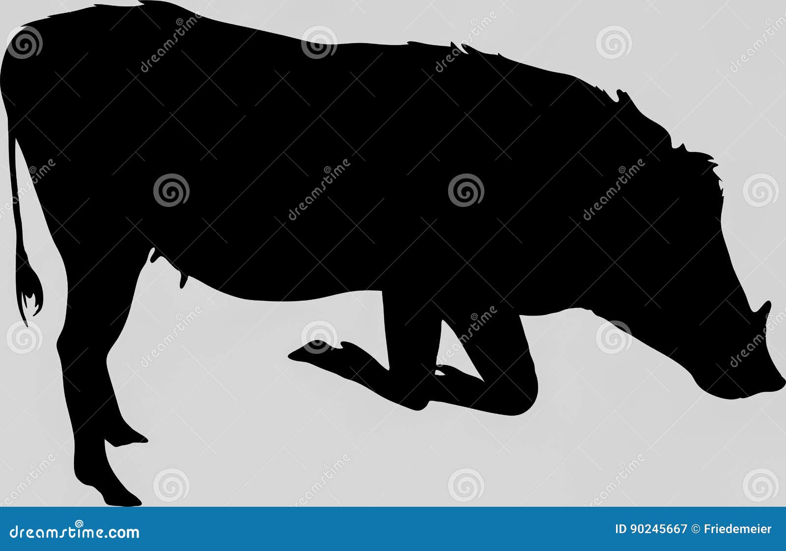 Warthog Illustration, Drawing, Engraving, Ink, Line Art, Vector ...