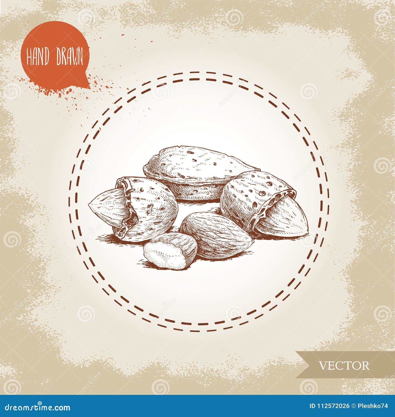 Hand Drawn Sketch Almond Nuts. Peeled Nuts And Nut In Nutshell. Group ... Hand Drawn Sketch Almond Nuts. Peeled Nuts And Nut In Nutshell. Group ...