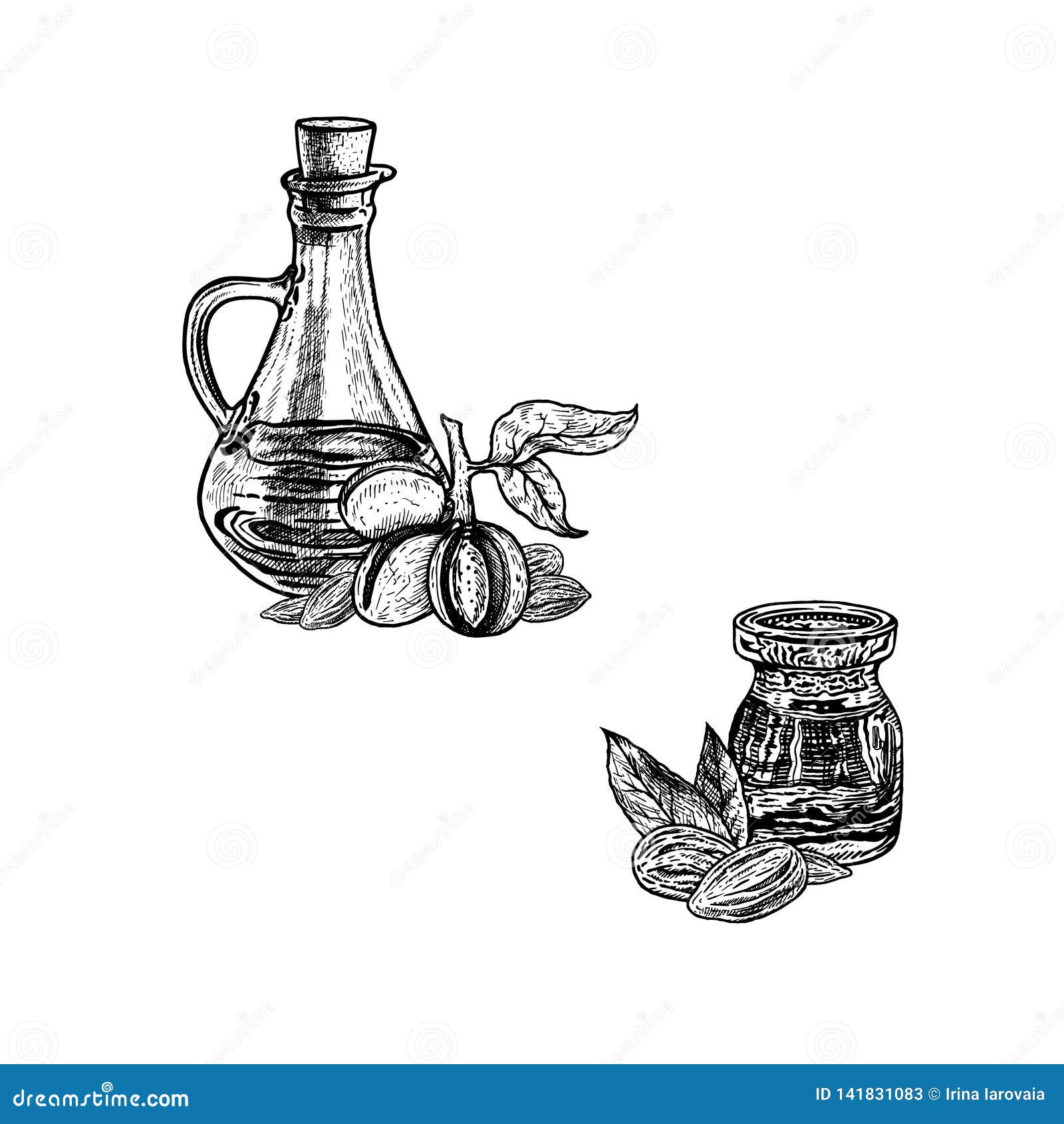 Hand Drawn Sketch Of Almond Oil Extract Of Plant Vector Illustration