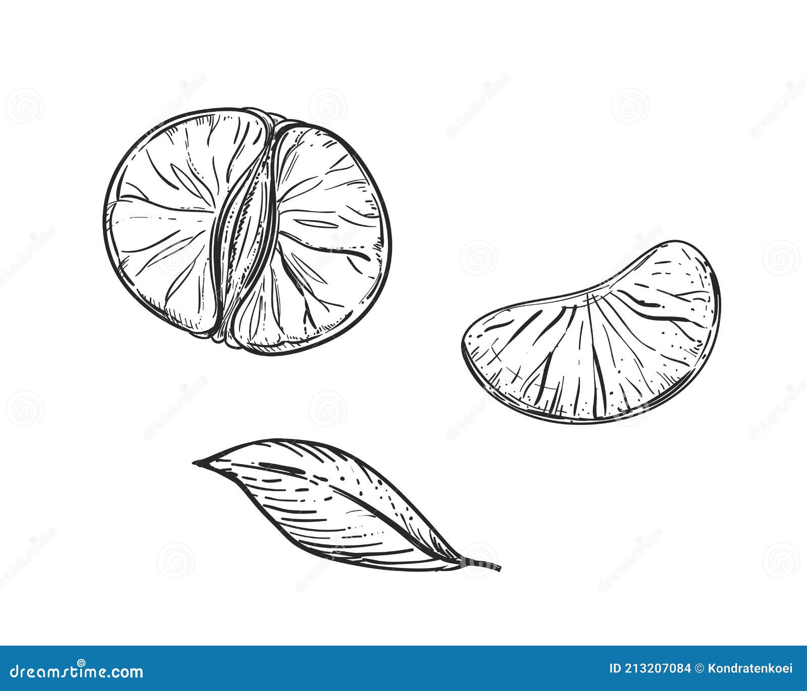 Hand Drawn Sketch Black and White of Mandarin, Tangerine Fruit, Slice ...