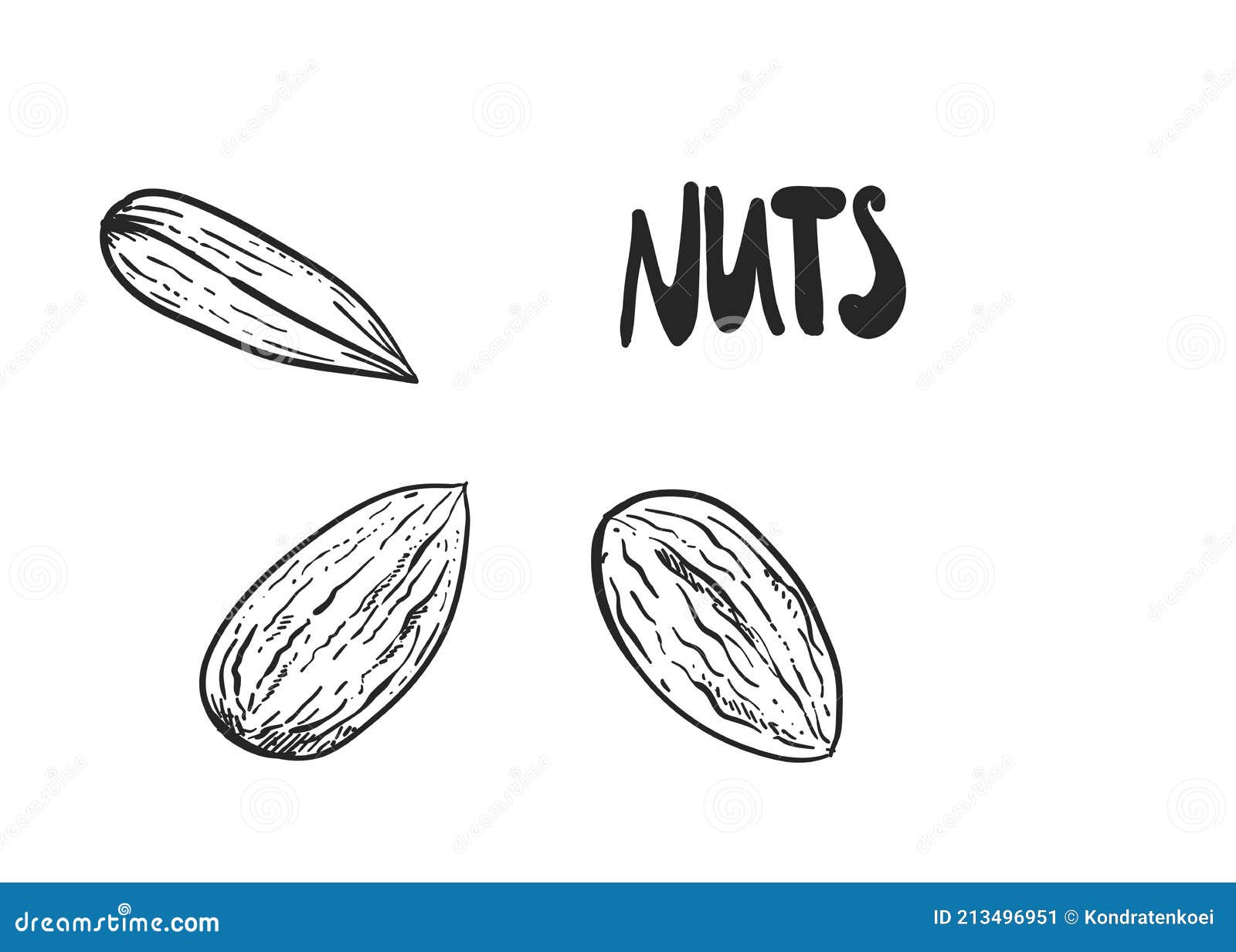Hand Drawn Sketch Black and White of Nuts, Almonds. Vector Illustration ...
