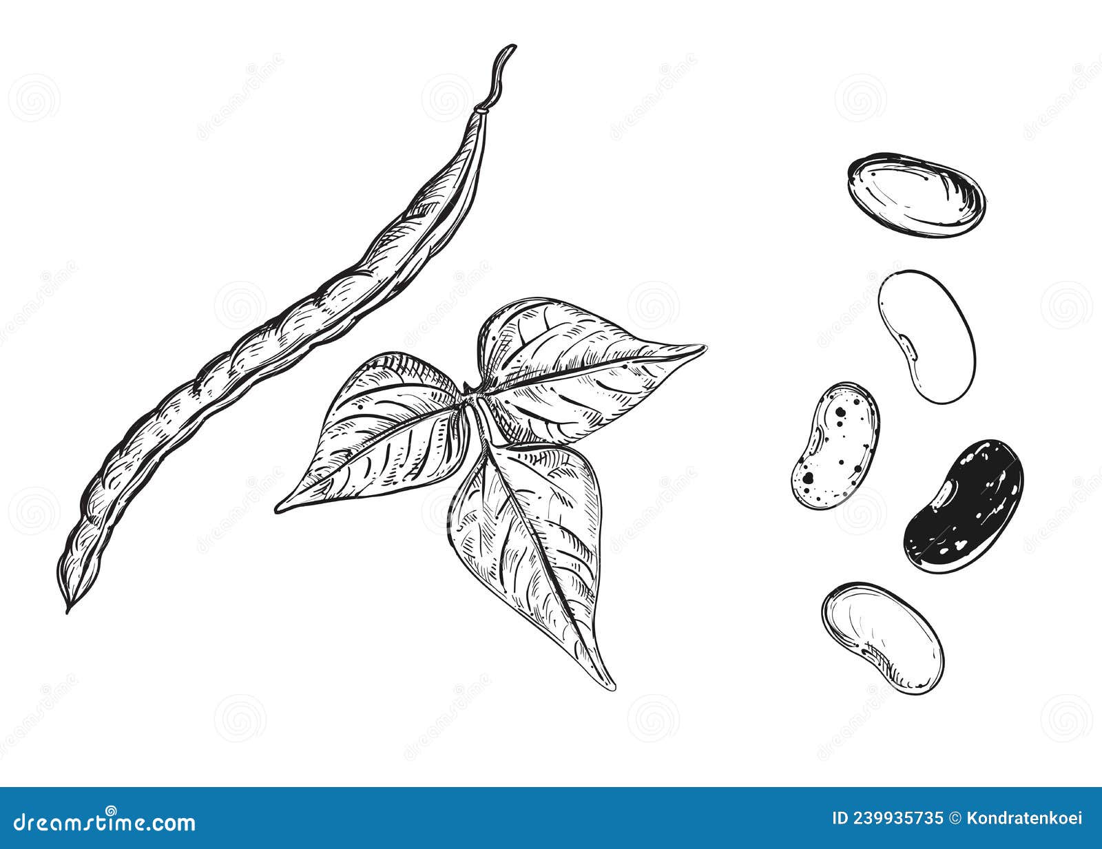 String Bean Icon, Outline Style Cartoon Vector | CartoonDealer.com ...