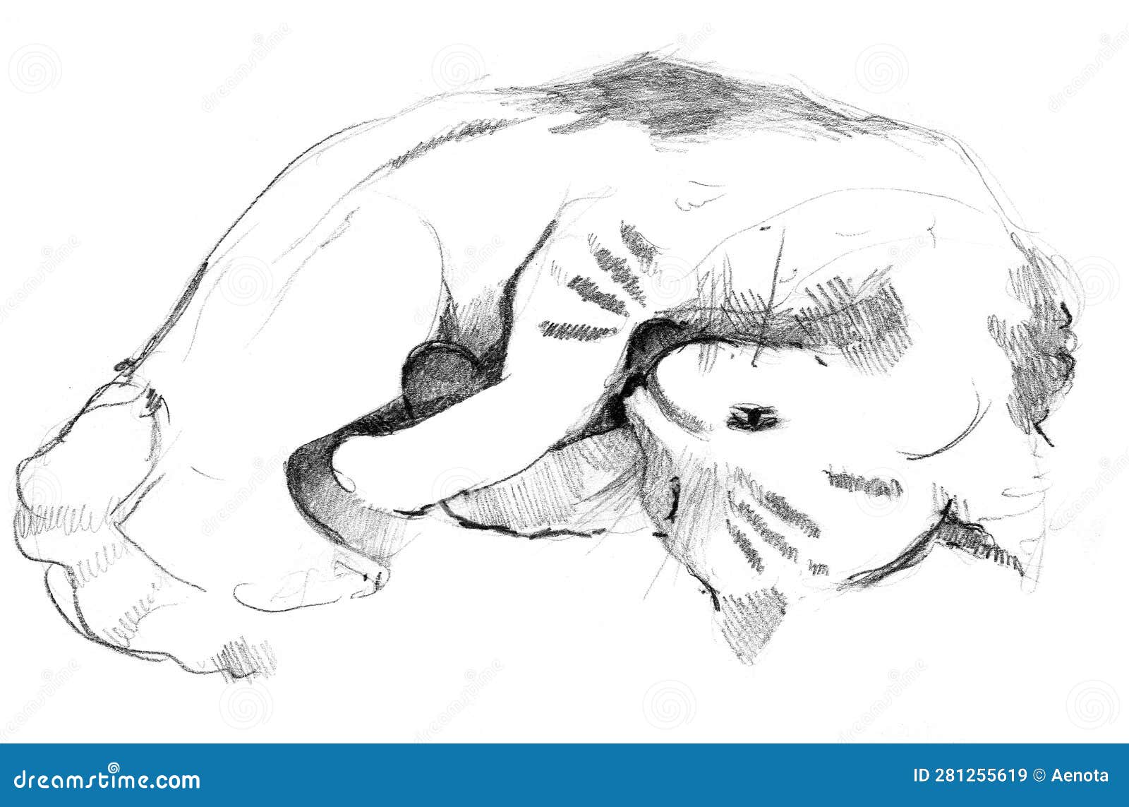 Hand drawn sketch of cat stock illustration. Illustration of daub ...