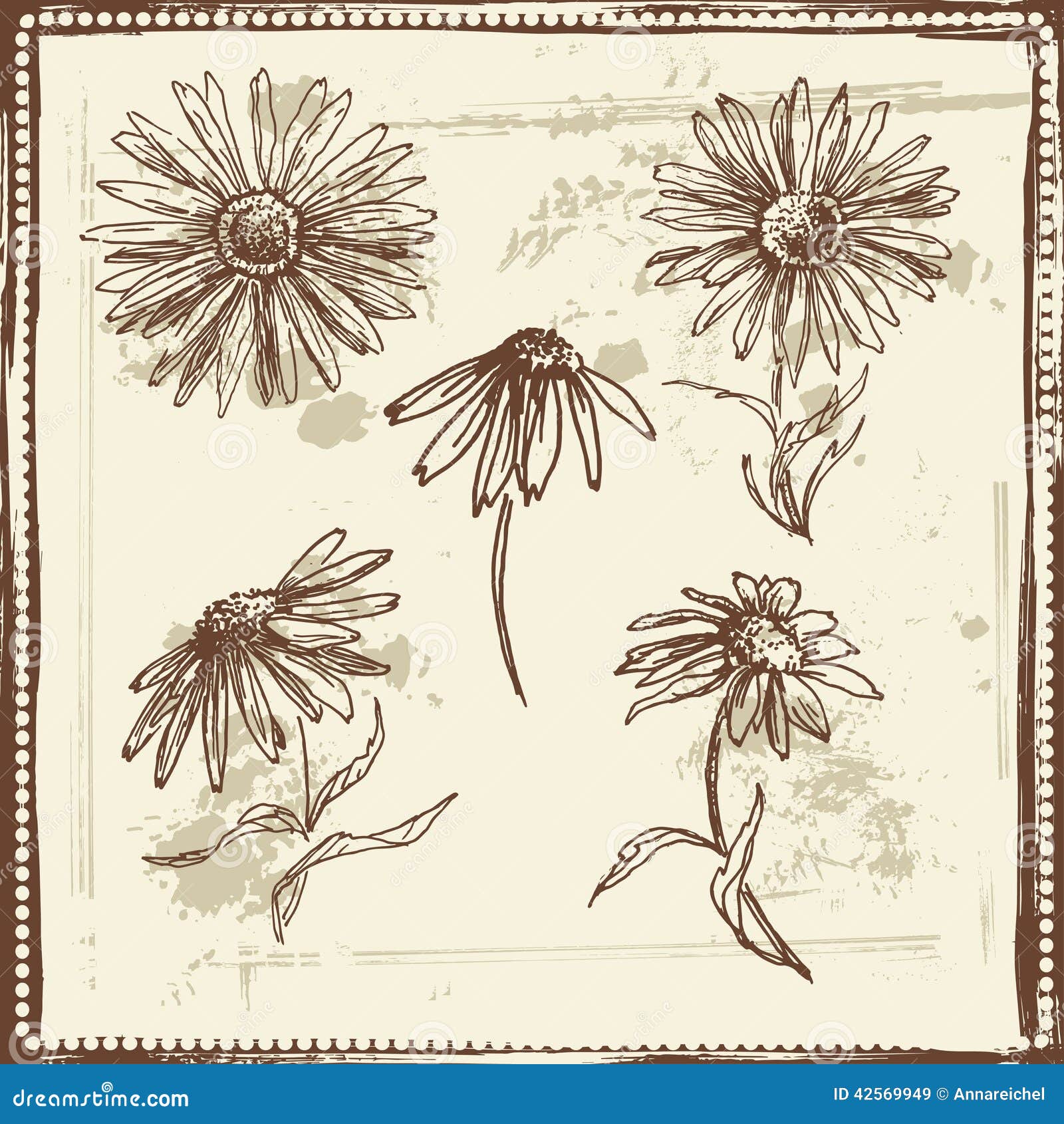 Hand Drawn Sketch of Daisies Stock Vector - Illustration of camomile ...