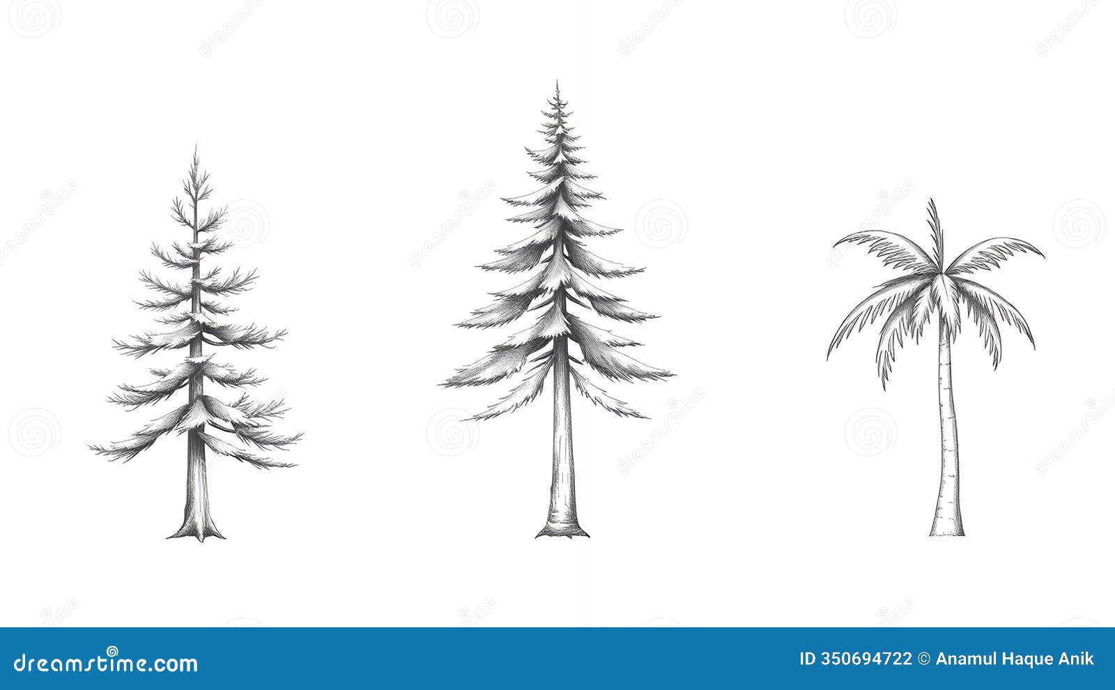 Hand Drawn Sketch of Different Types of Trees Stock Illustration ...