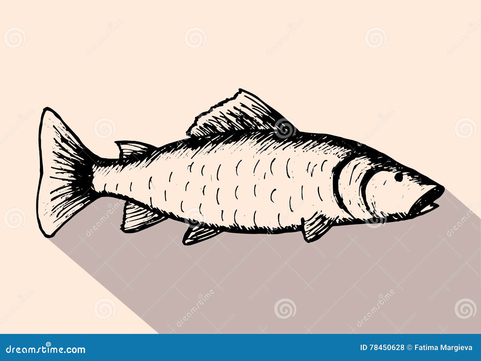 Hand Drawn Sketch of Fish with a Long Shadow Stock Vector ...
