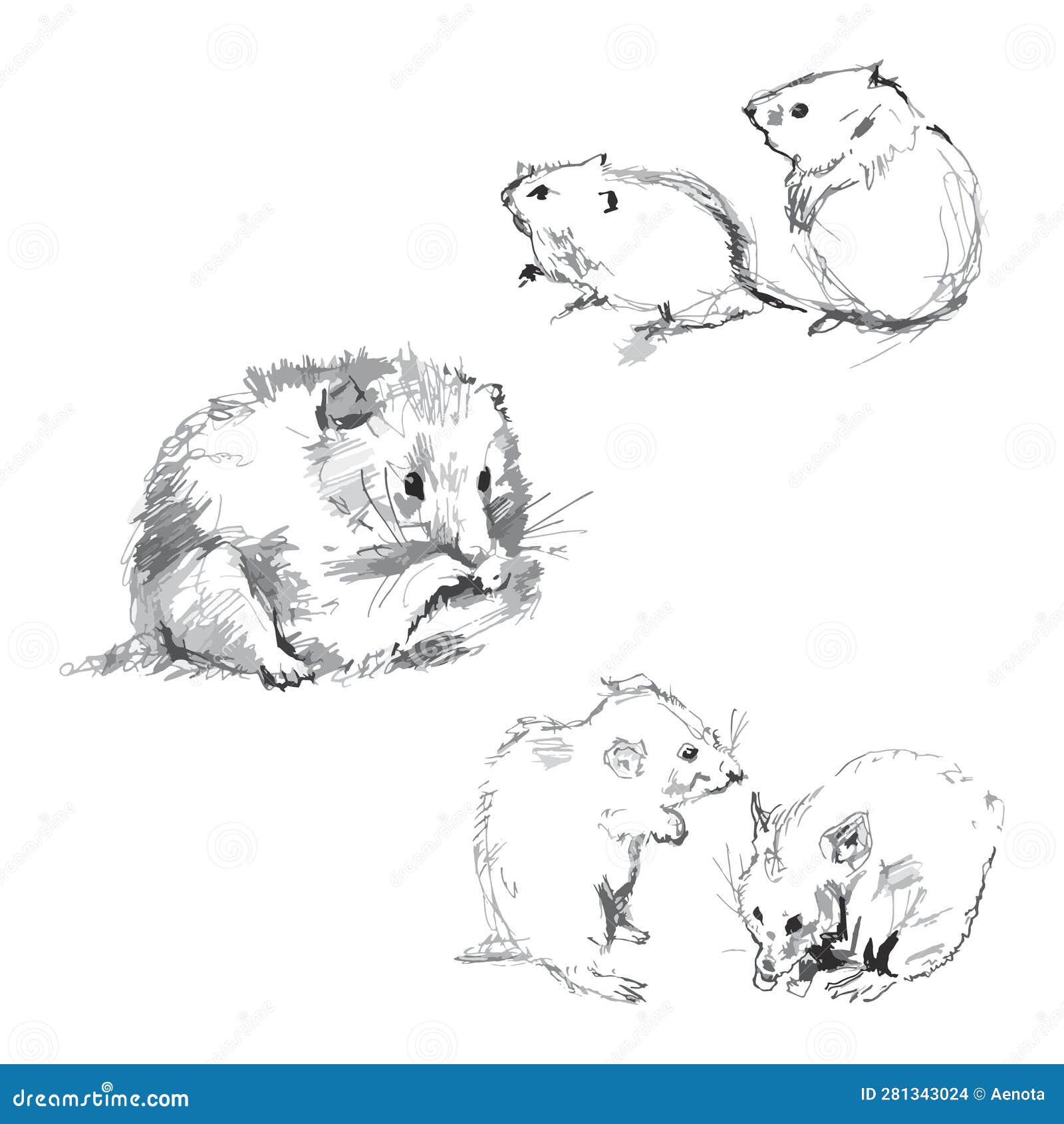 Hand Drawn Sketch of Hamsters Stock Vector - Illustration of vector ...
