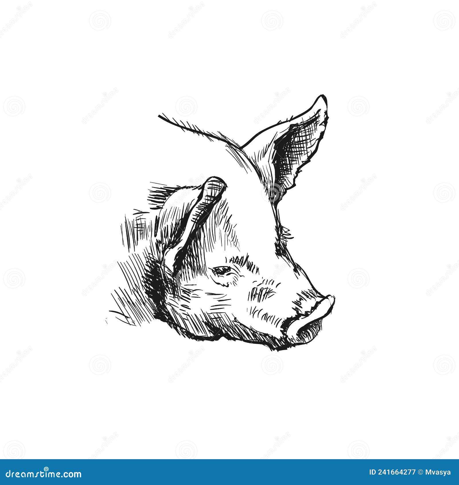 Hand Drawn Sketch Head Pig Illustration Cartoon Vector | CartoonDealer ...
